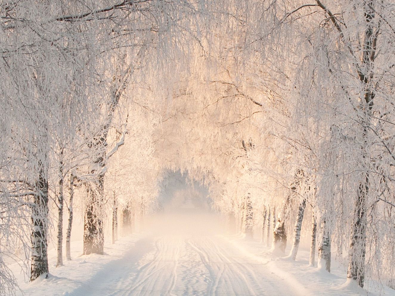 Somewhere in Finland. [1325x993] | Scrolller