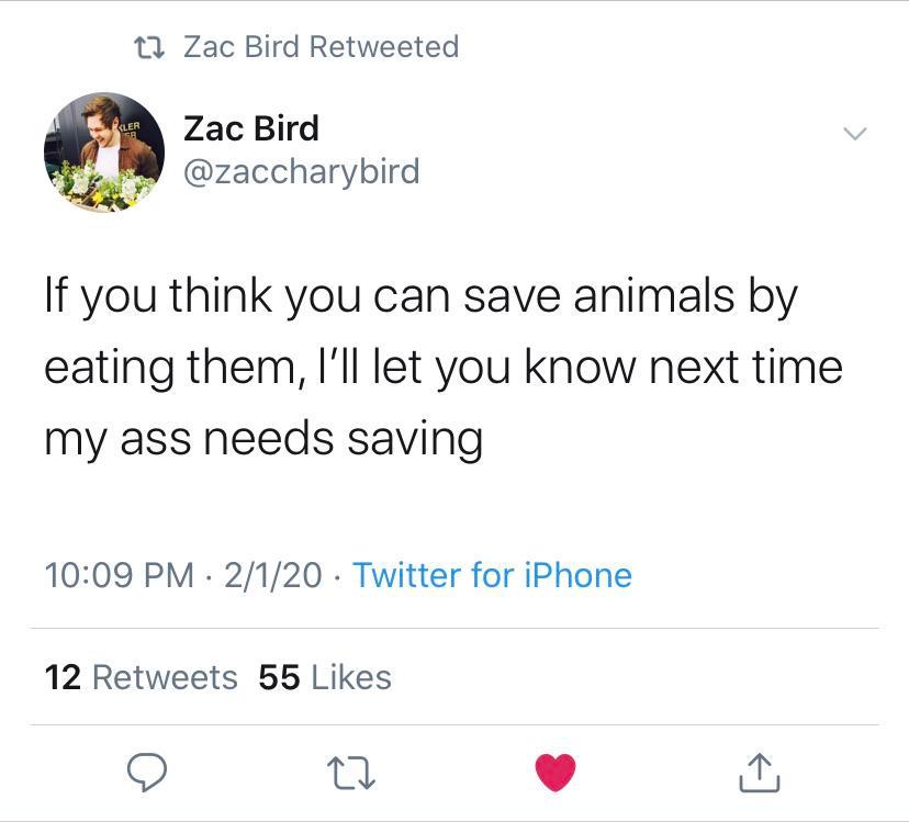 Sounds like a plan | Scrolller