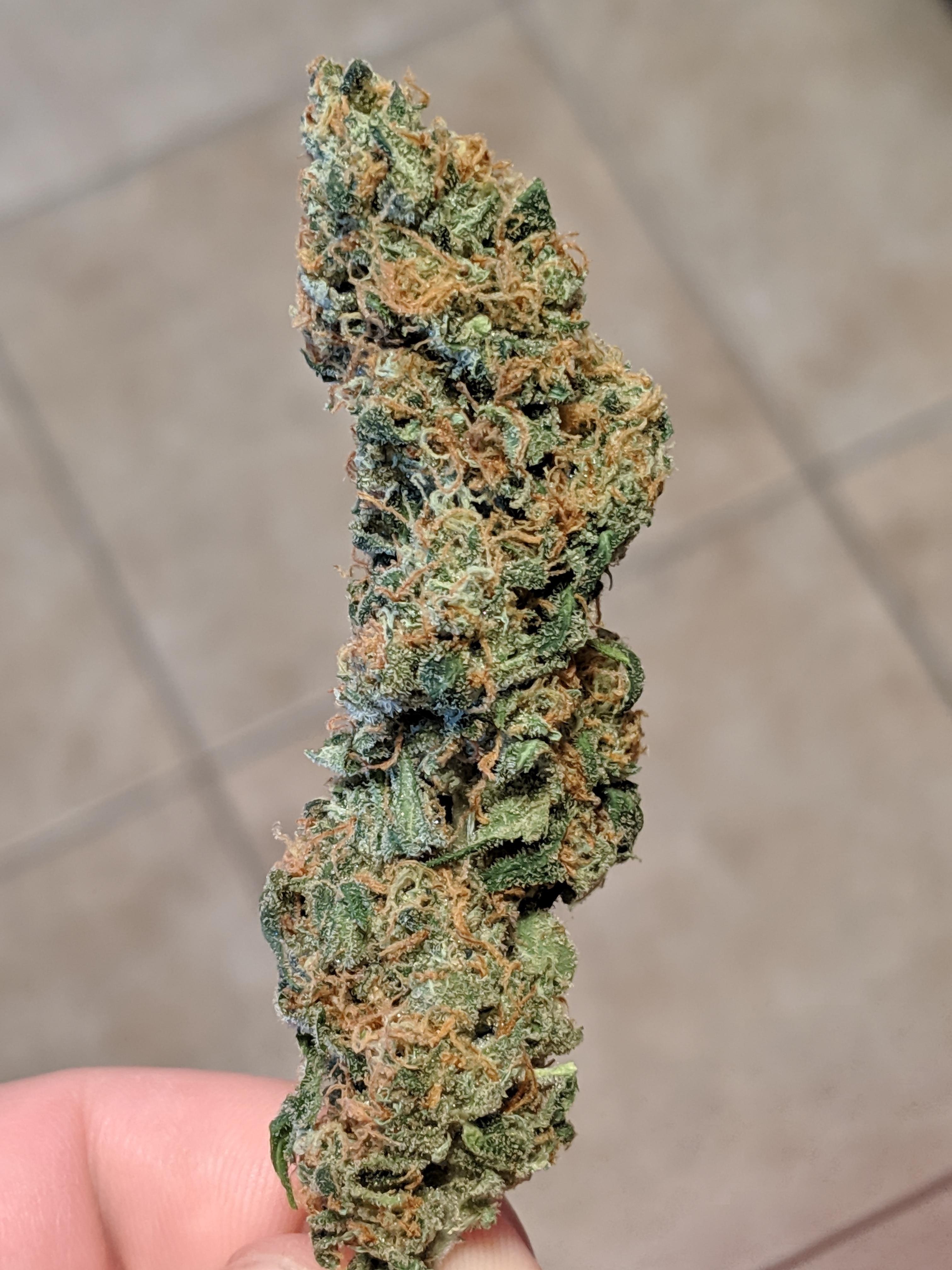 Sour Tangie-Hillside Pharms | Scrolller