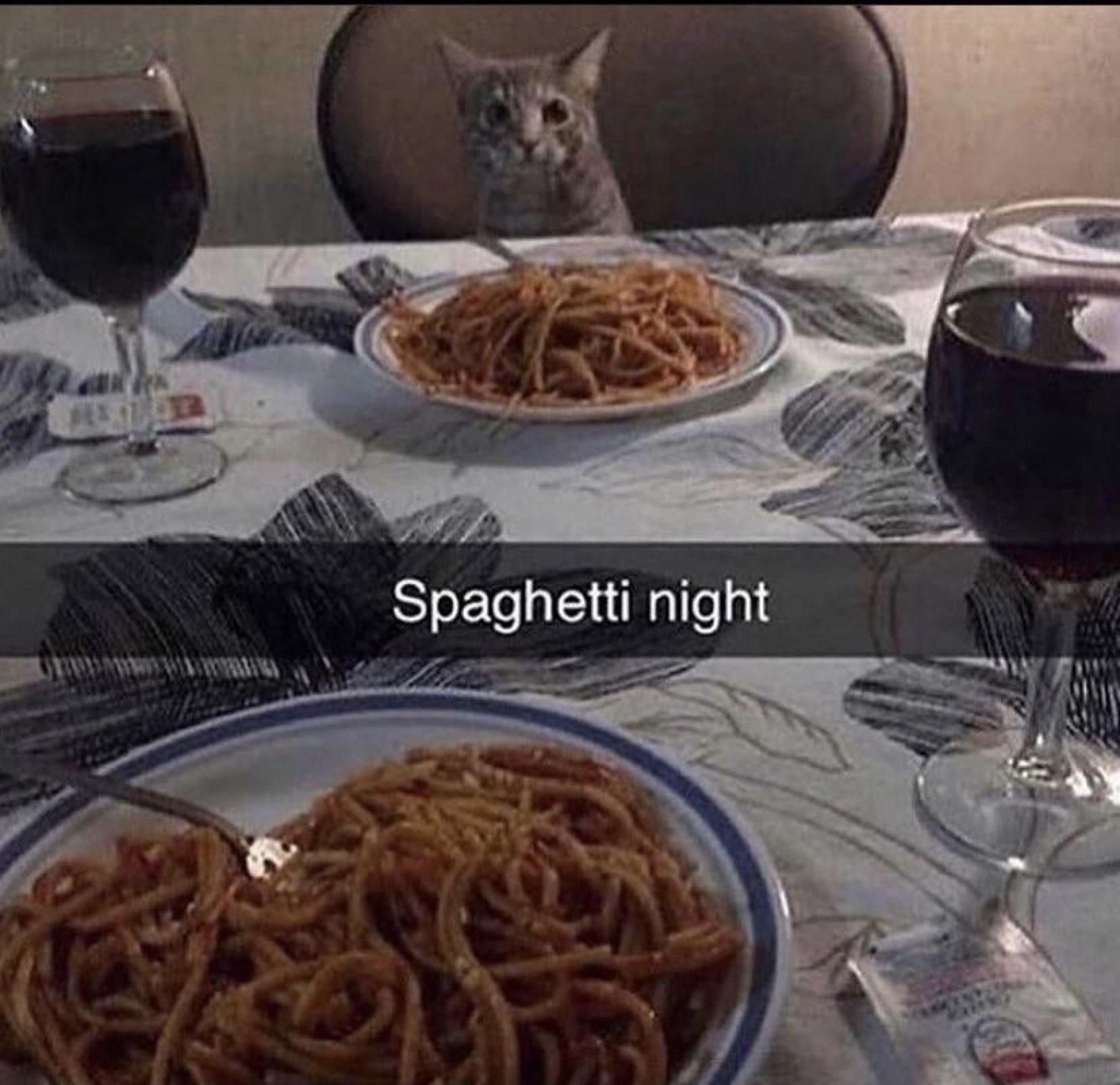 Spaghetti rule | Scrolller