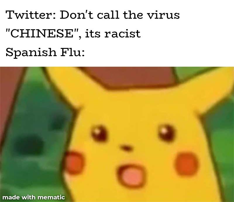 Spanish Flu goes brrrrr | Scrolller