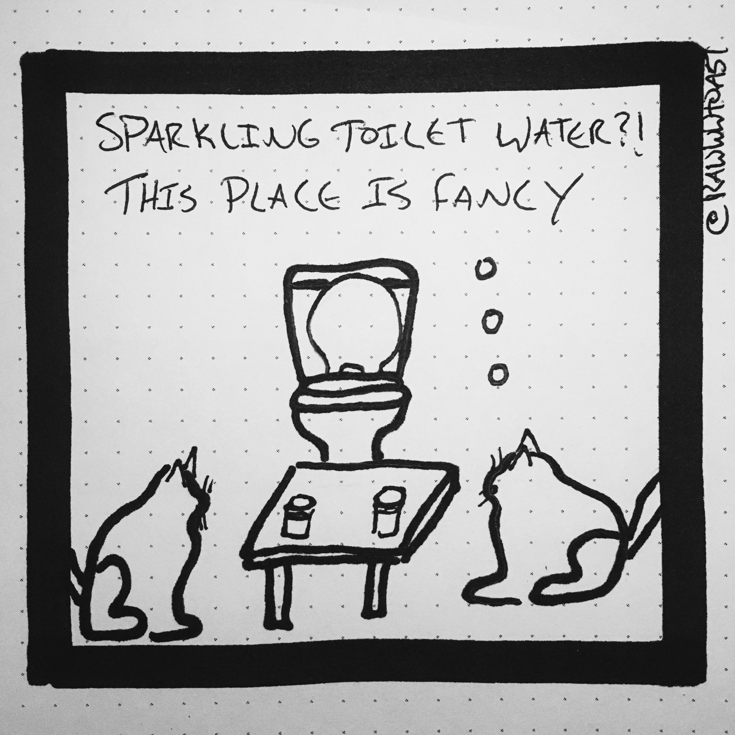 Sparkling Toilet Water [oc] | Scrolller
