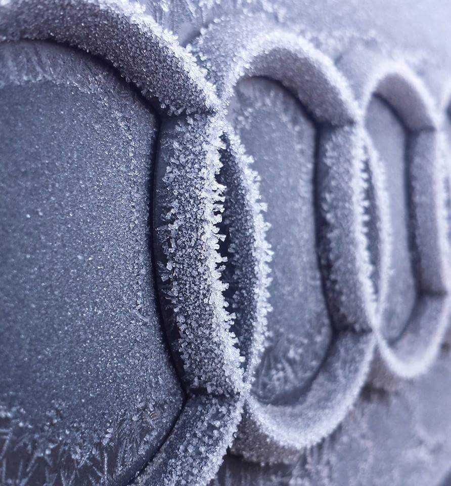 Speaking of frost-bitten Quattro... | Scrolller