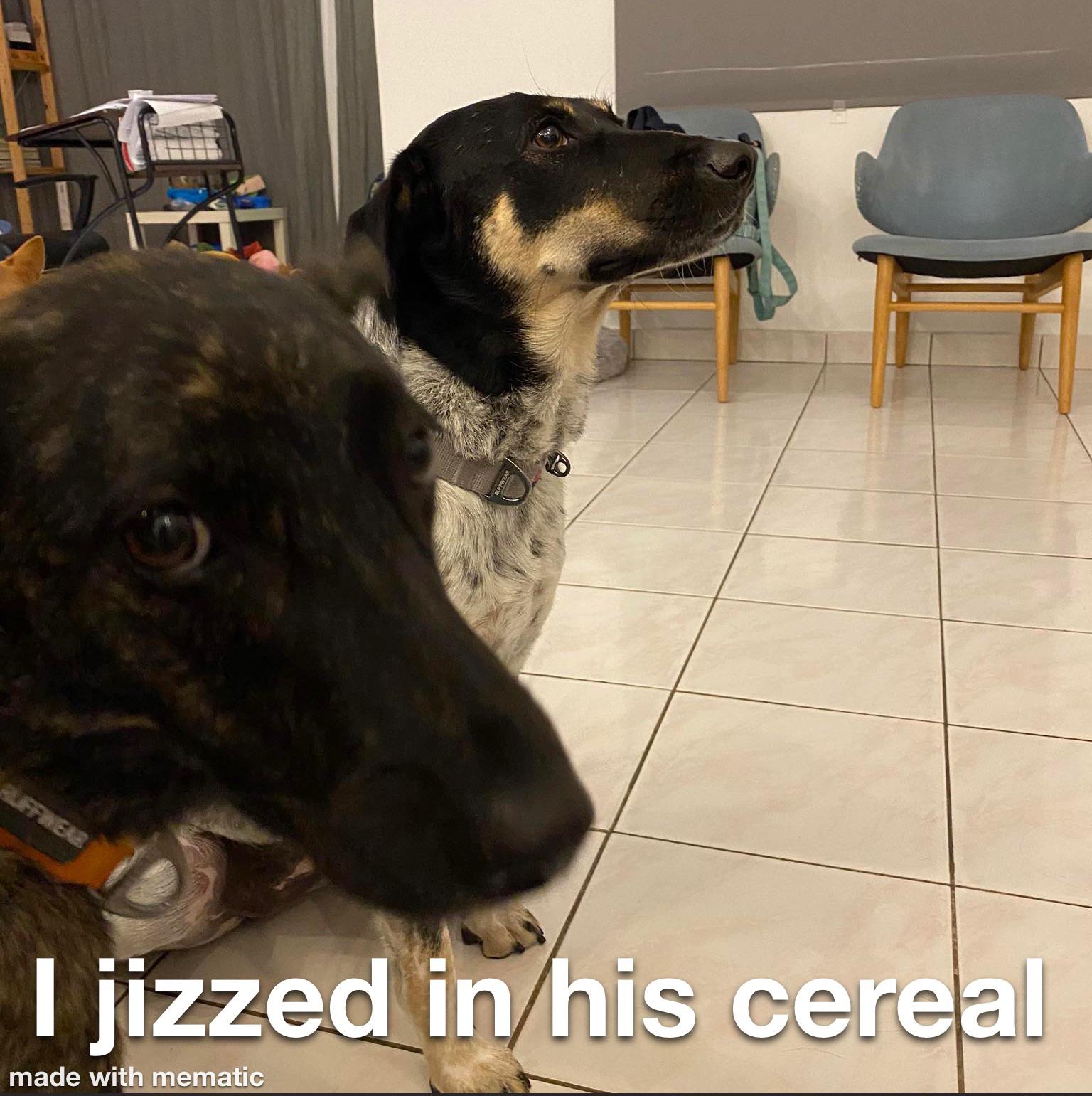 Special cereal | Scrolller