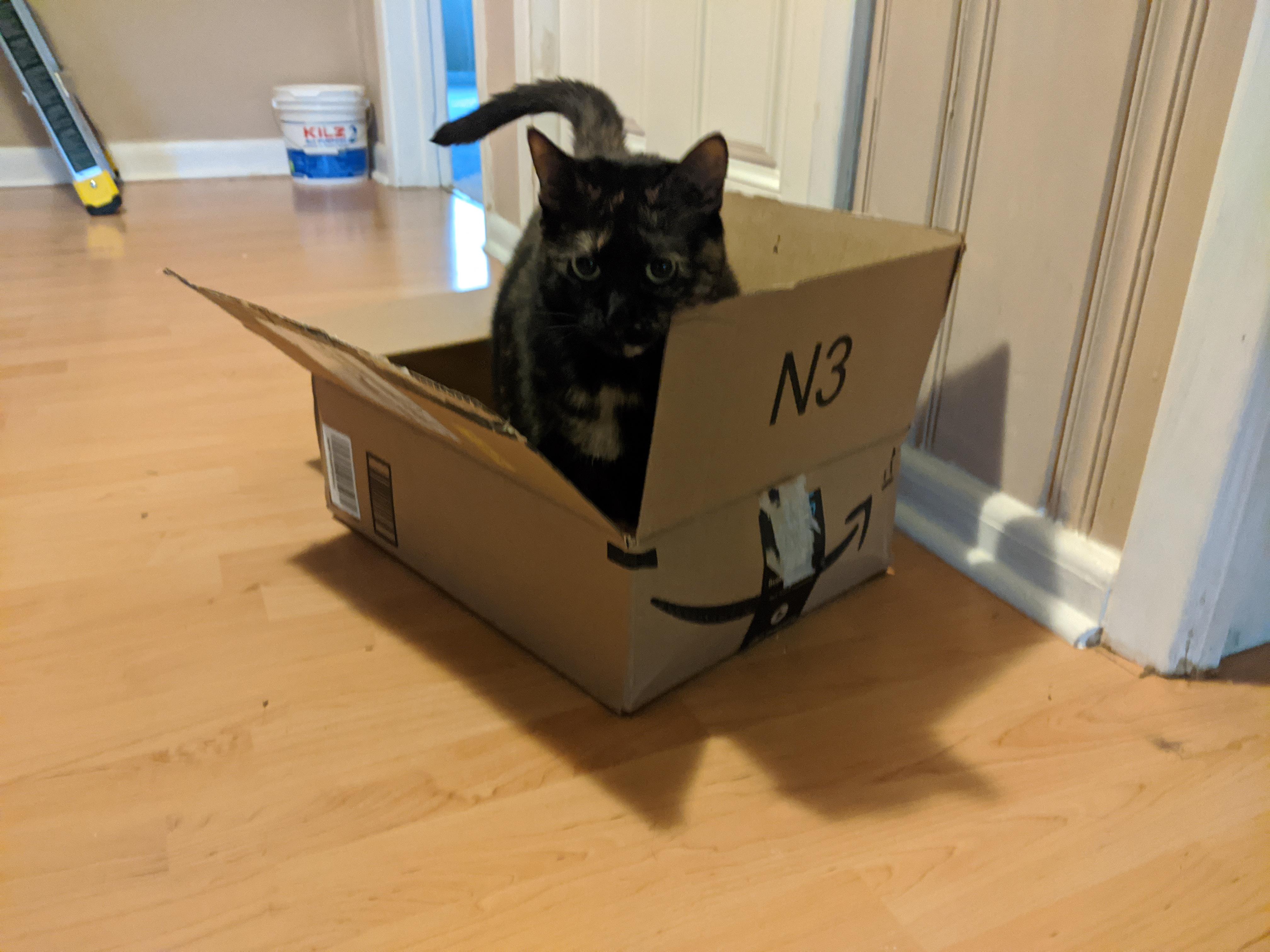 Special Delivery! | Scrolller