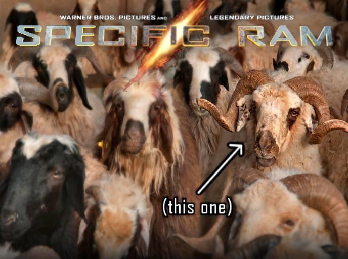 Specific Ram | Scrolller