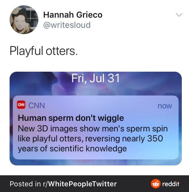 Sperm are playful otters | Scrolller