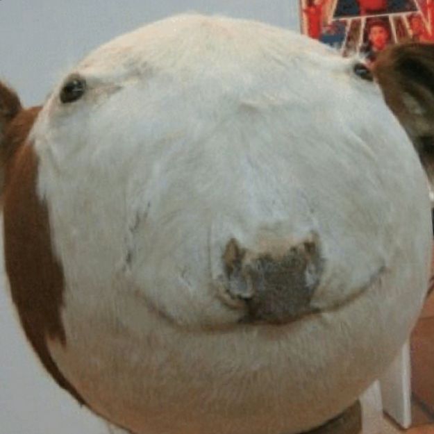 Artblocked | Funkipedia Mods Wiki | Fandom