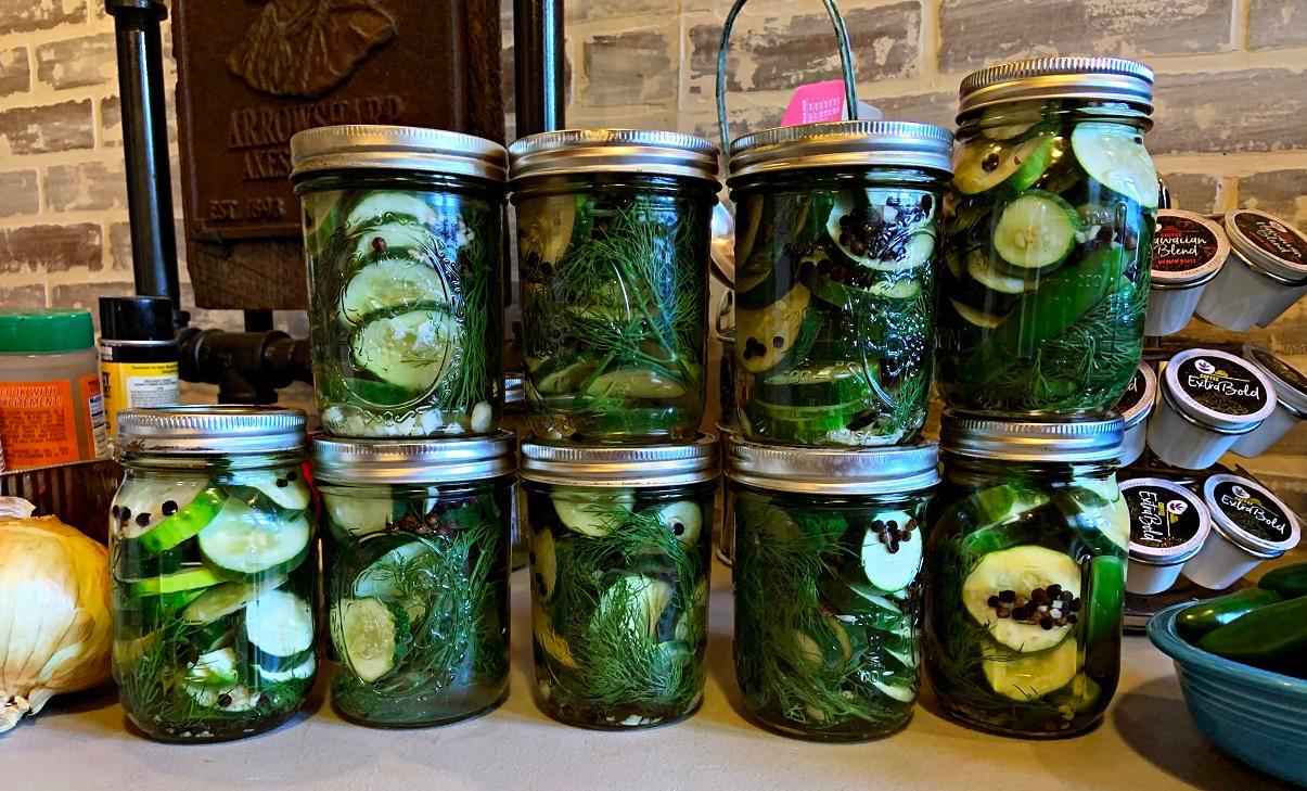 Spicy Garlic, Jalapeno and Dill Refrigerator Pickles | Scrolller