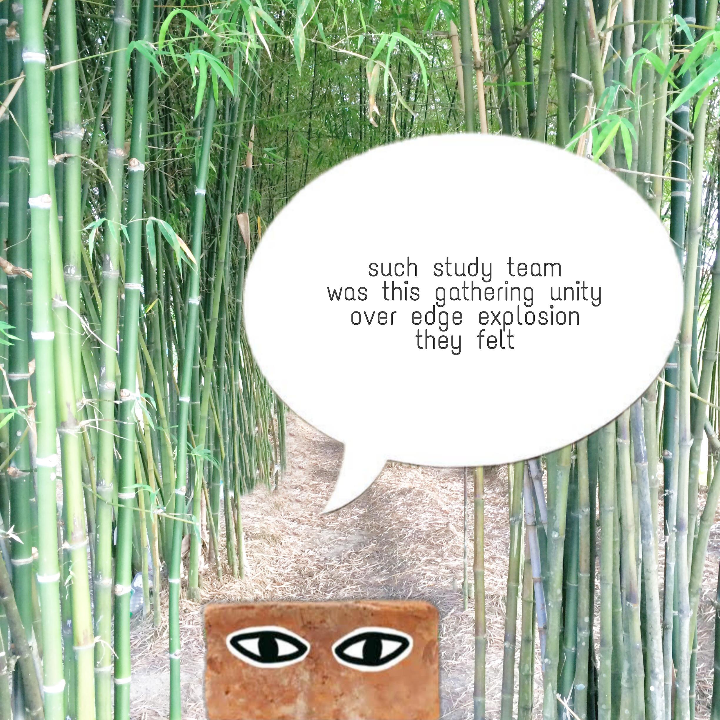 splayed temperature | Scrolller