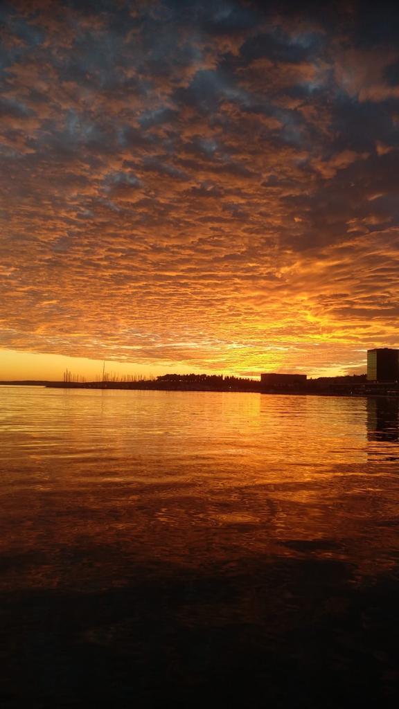 Split Riva in the night | Scrolller