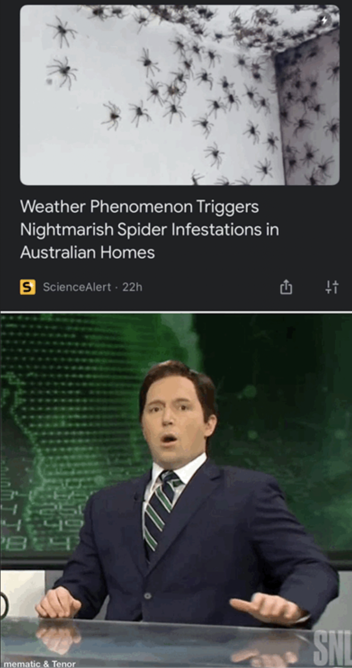 Spooky Scary Spiders | Scrolller