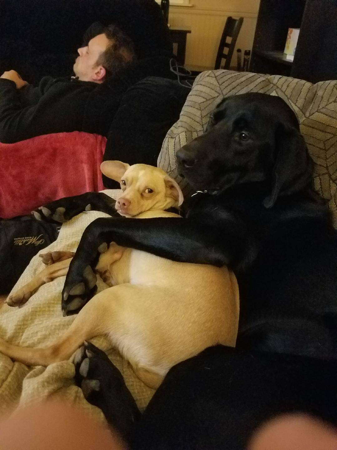 Spooning after I fell asleep | Scrolller