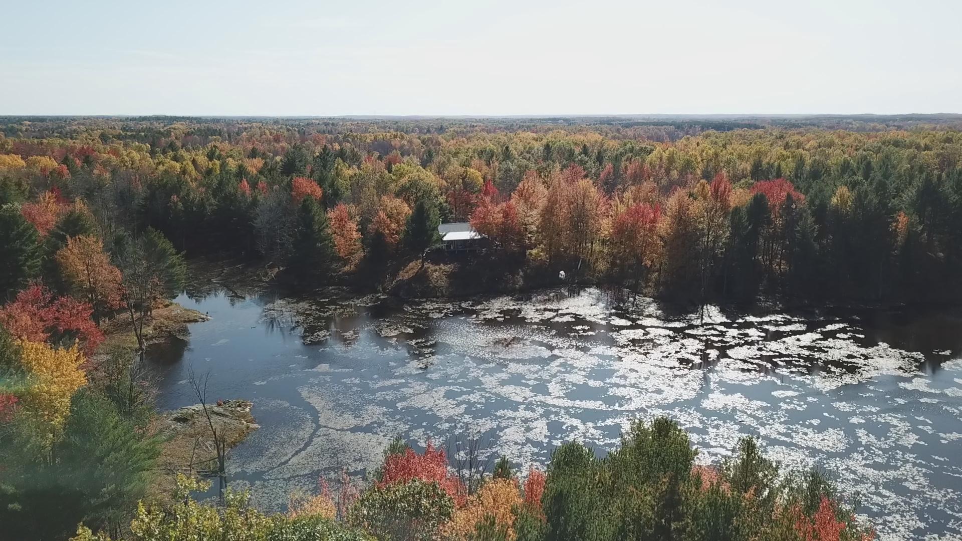 Spot my cabin | Scrolller