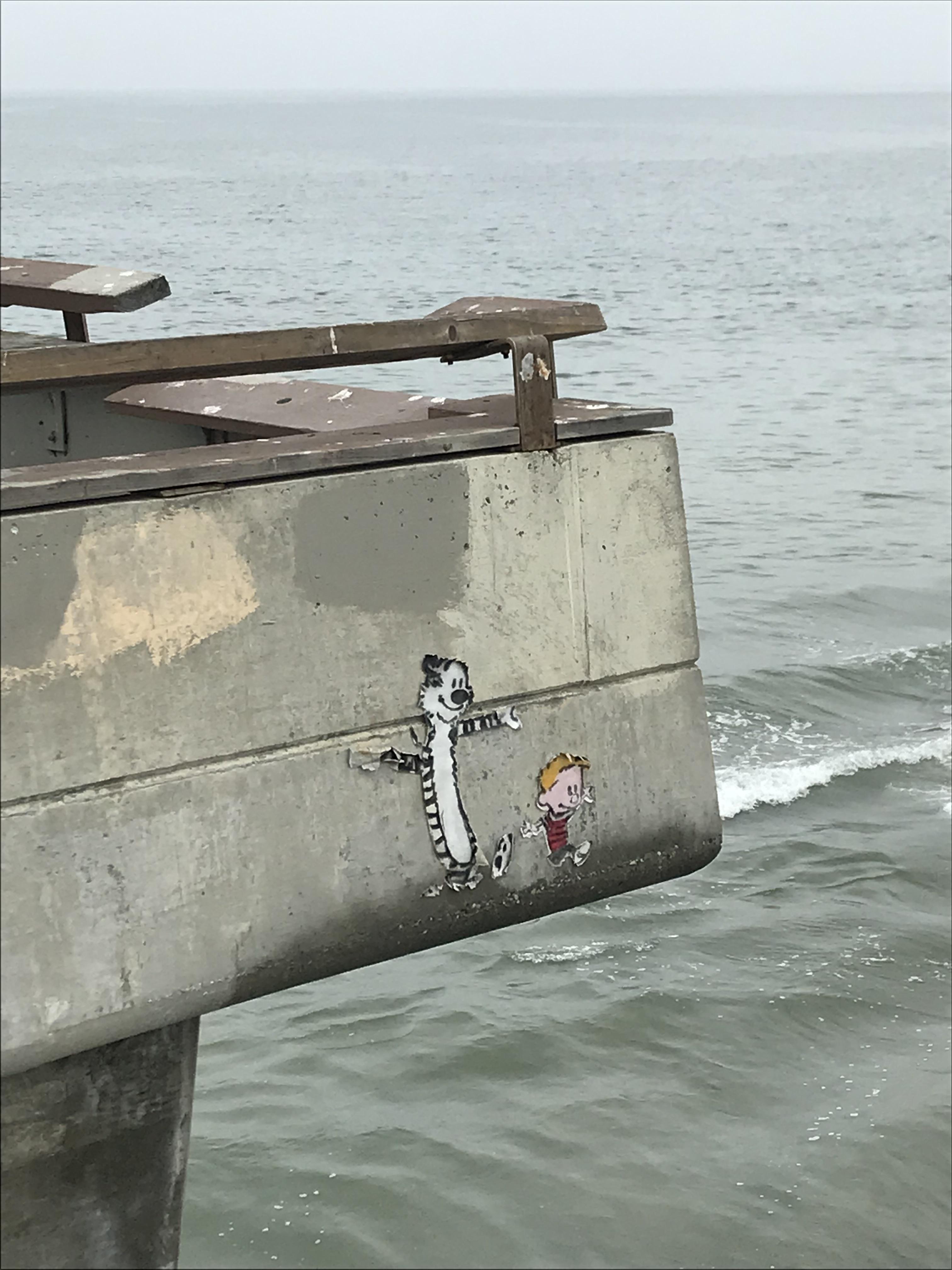 Spotted at Venice Beach | Scrolller