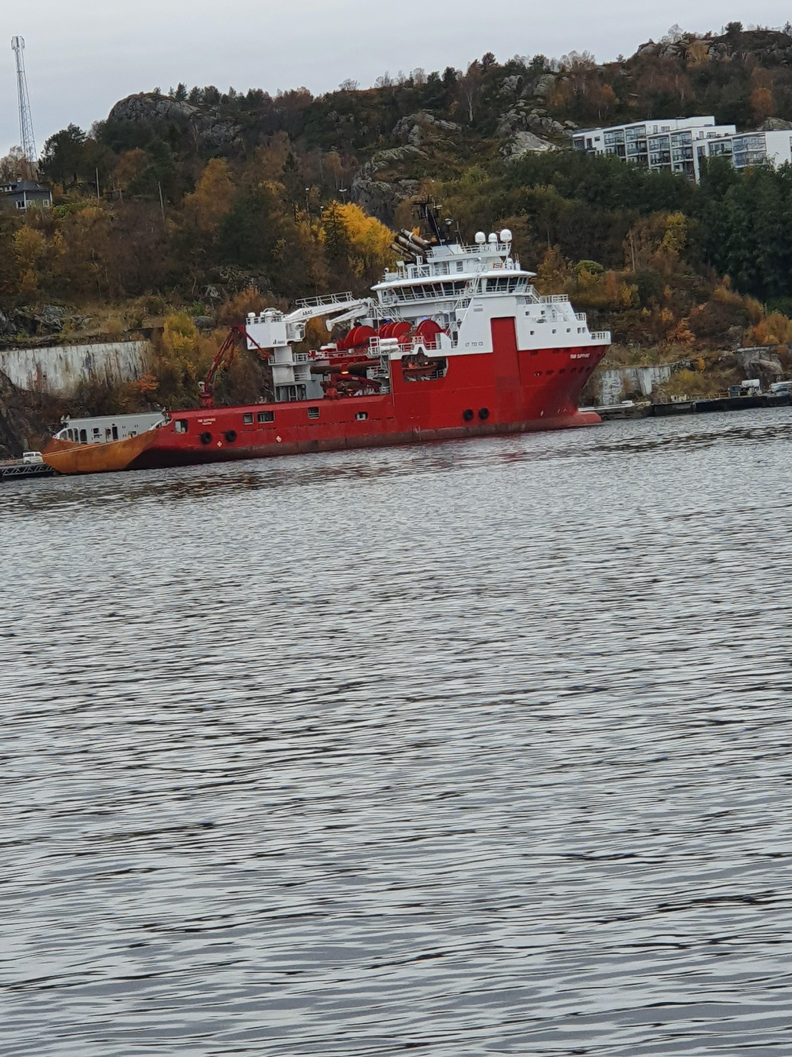 Spotted Far Sapphire | Scrolller