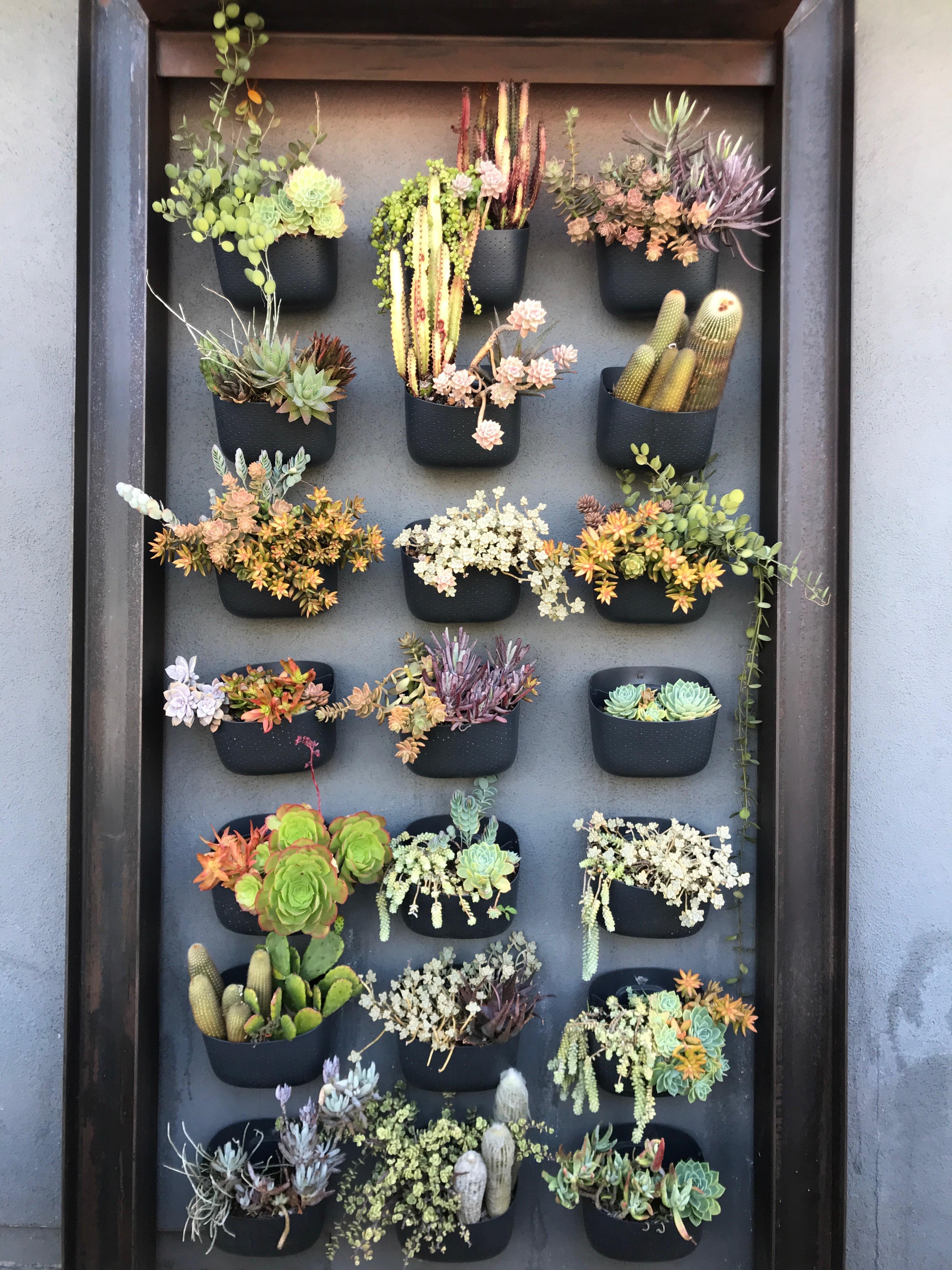 Spotted in San Diego. | Scrolller