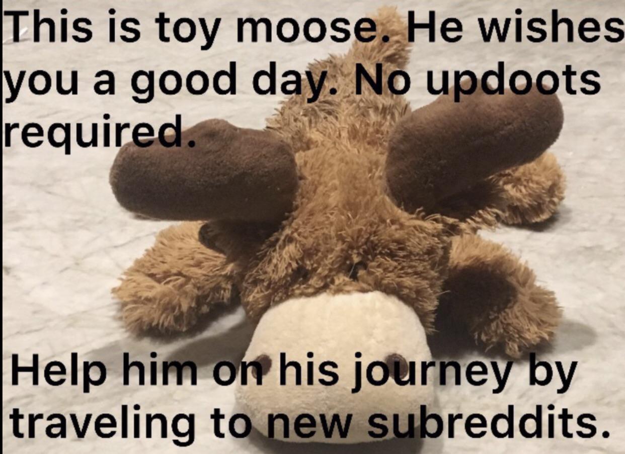 Spread him | Scrolller