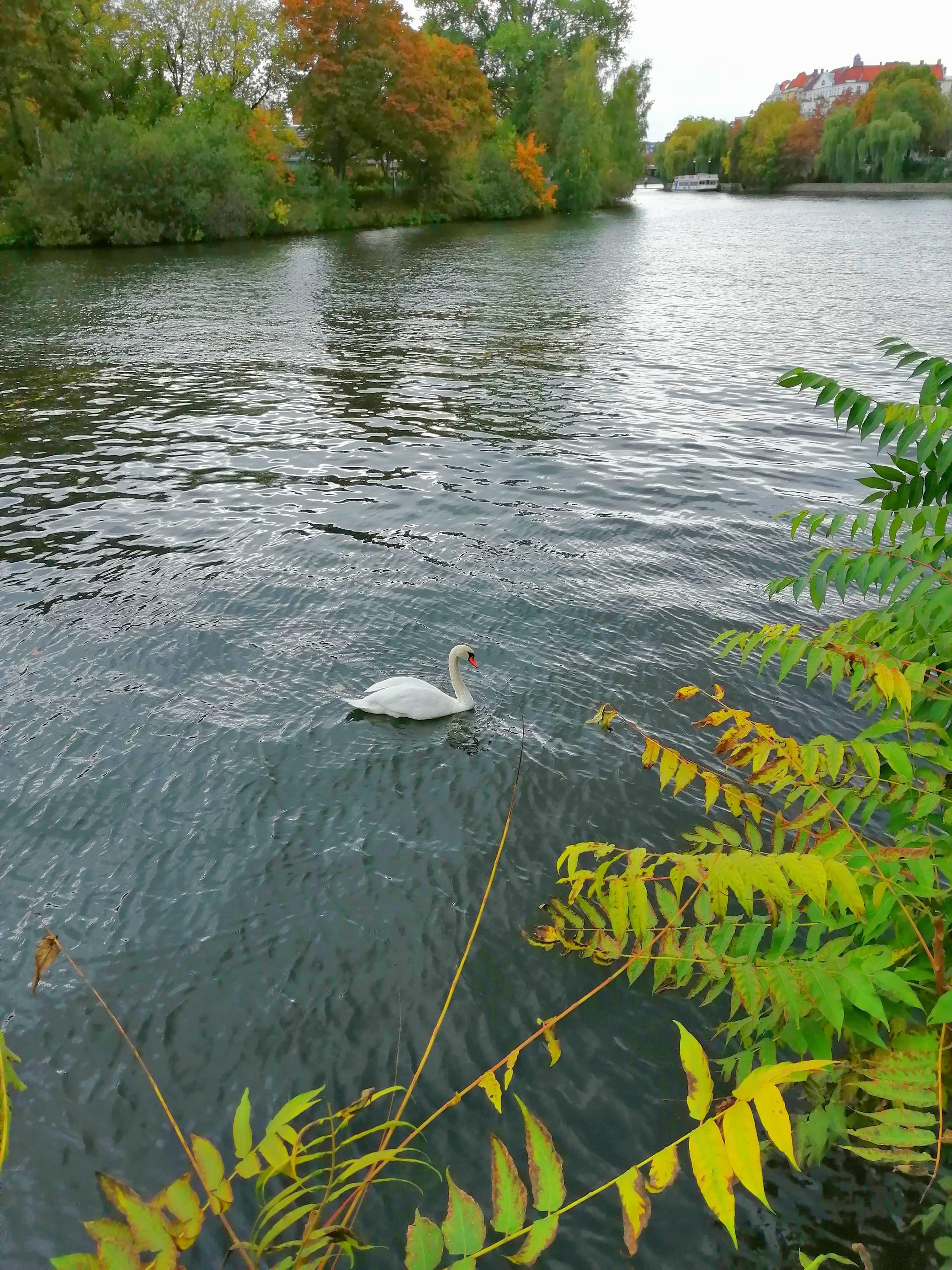 Spree river city park | Scrolller
