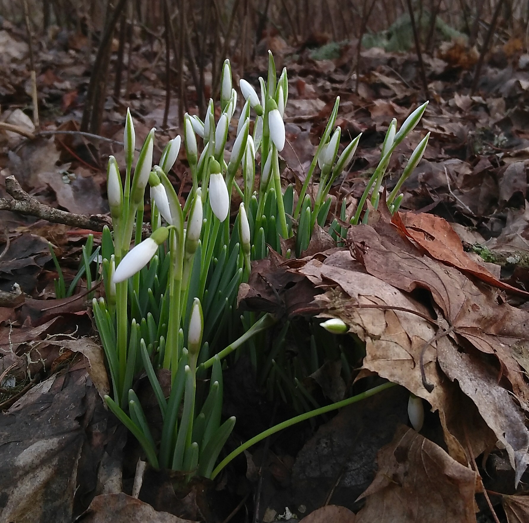 Spring is finally coming! | Scrolller