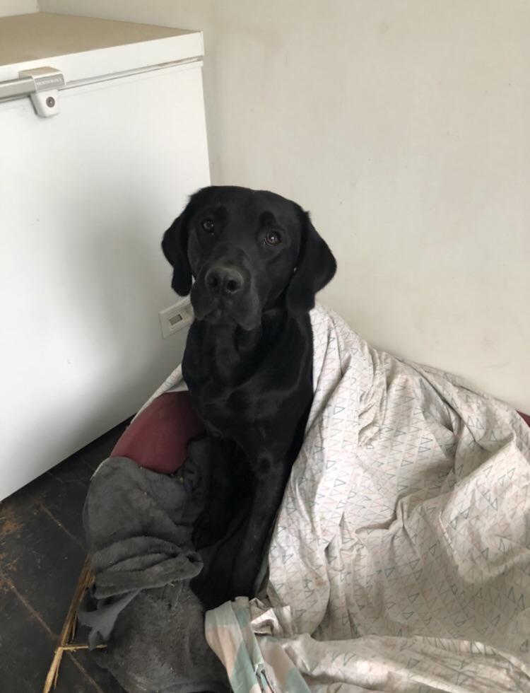 Spud being a stinky boy. | Scrolller