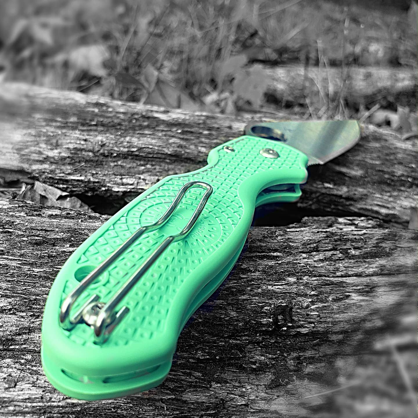 Spyderco M4 Para3 | Scrolller