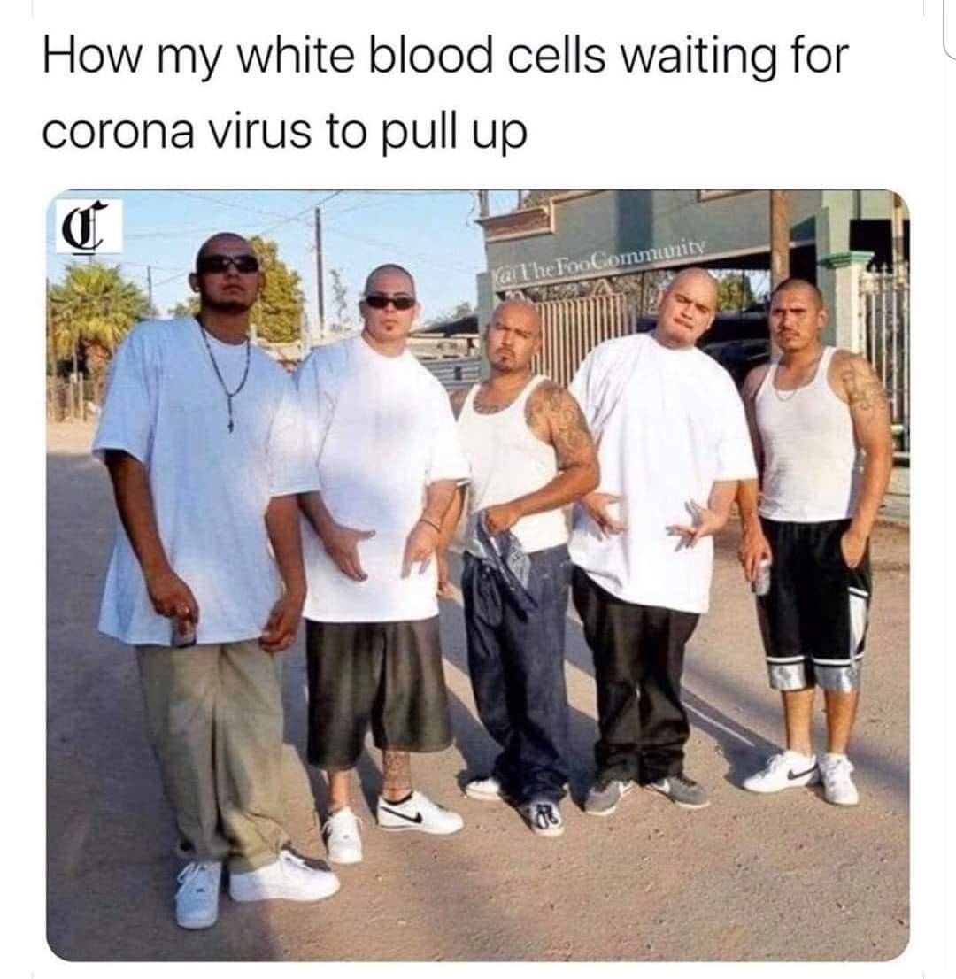 Square up | Scrolller