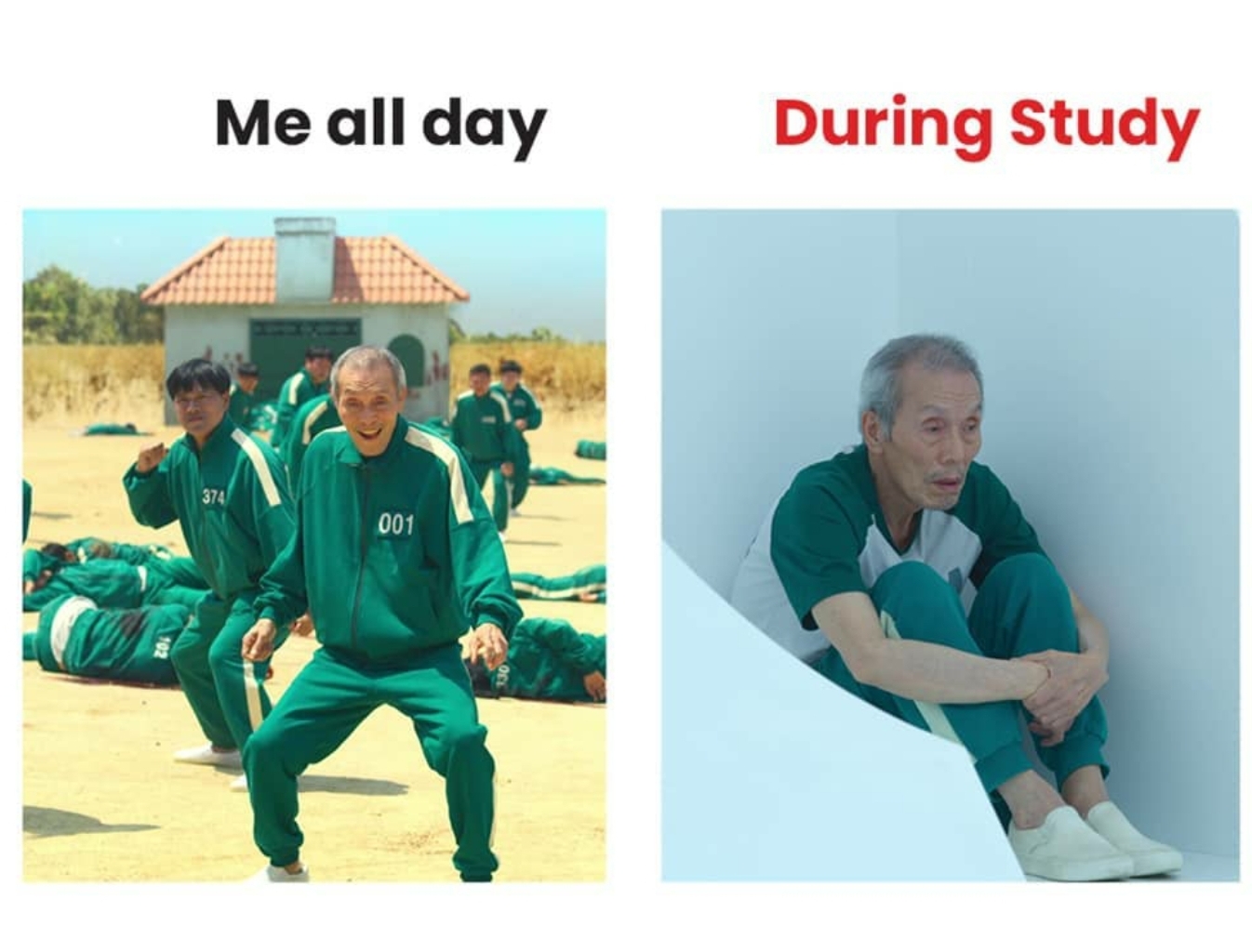 squid gem | Scrolller