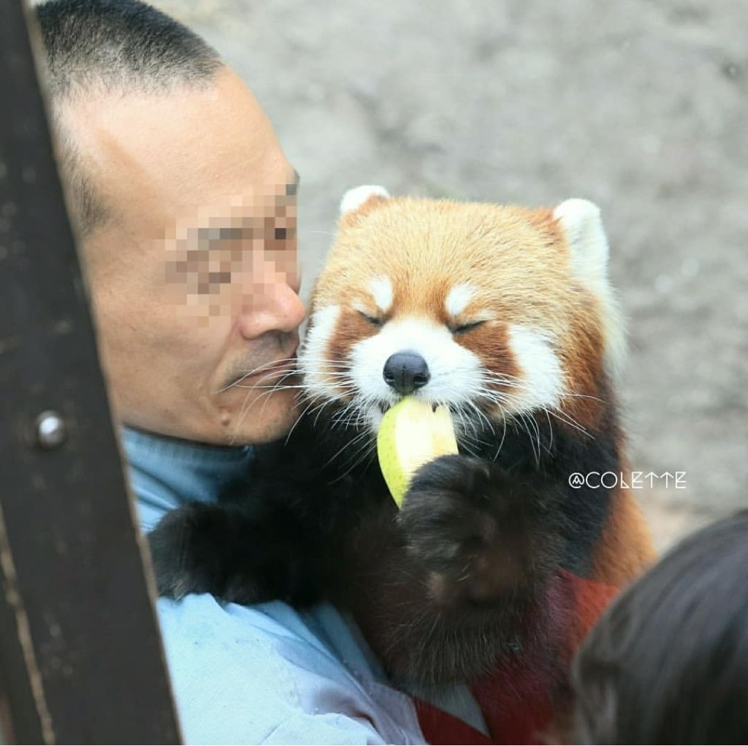 Squinty bear | Scrolller