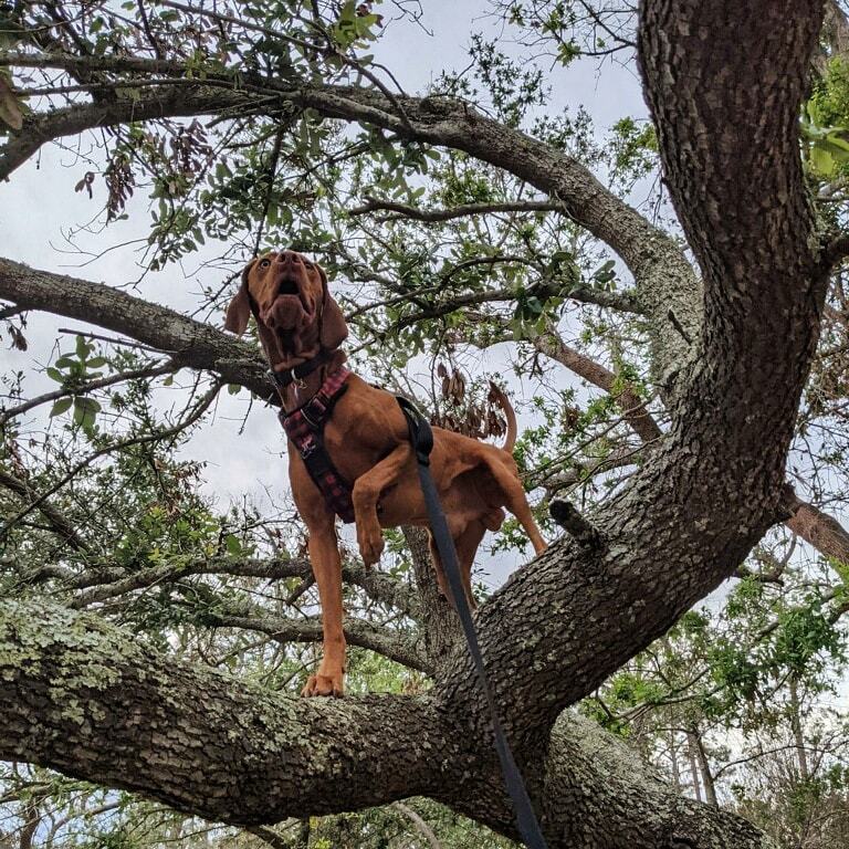 SQUIRREL! | Scrolller