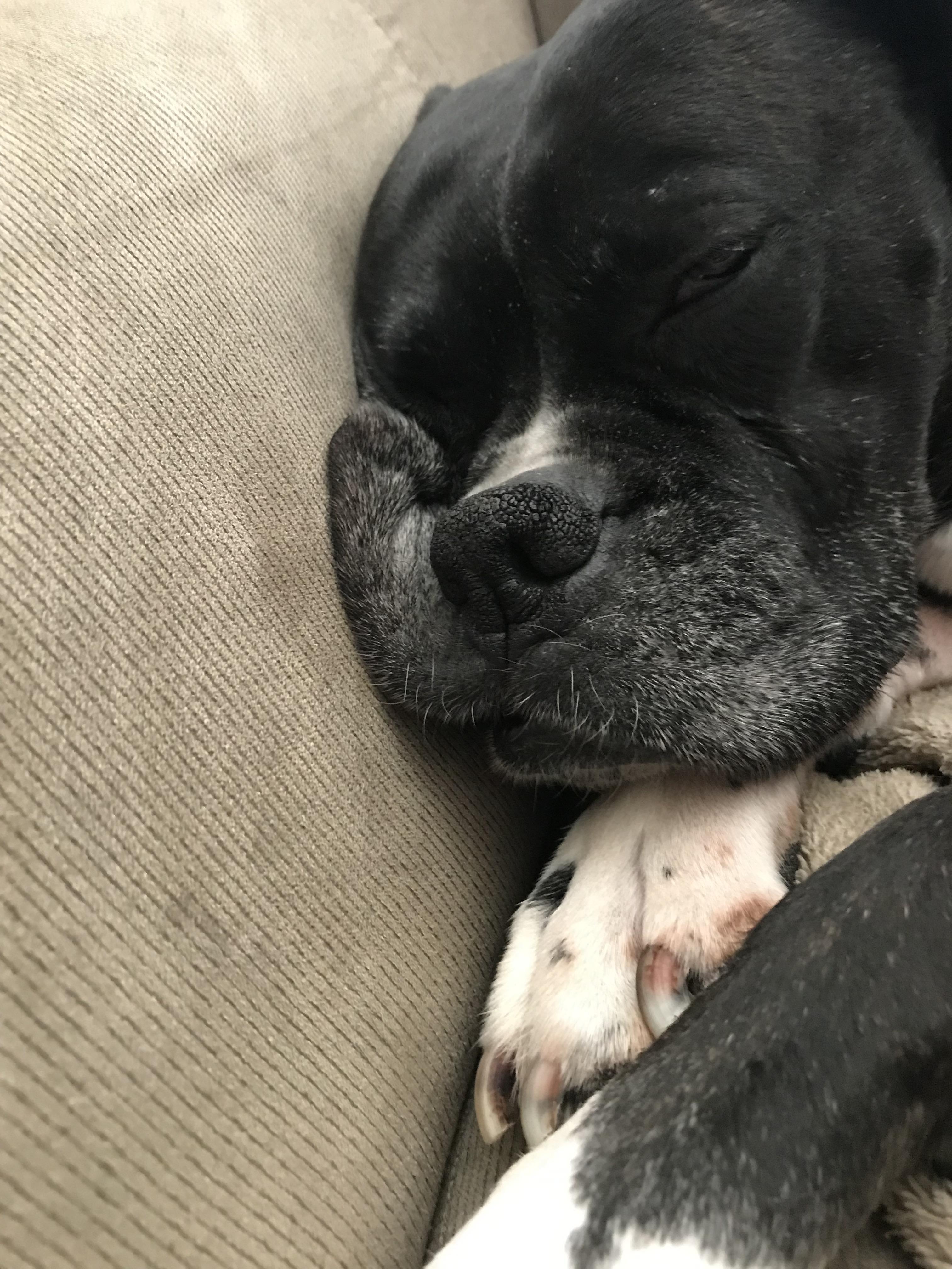 Squishy McSquisherface | Scrolller