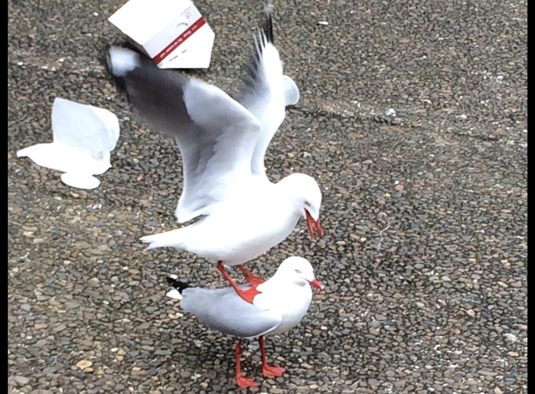 stacking | Scrolller