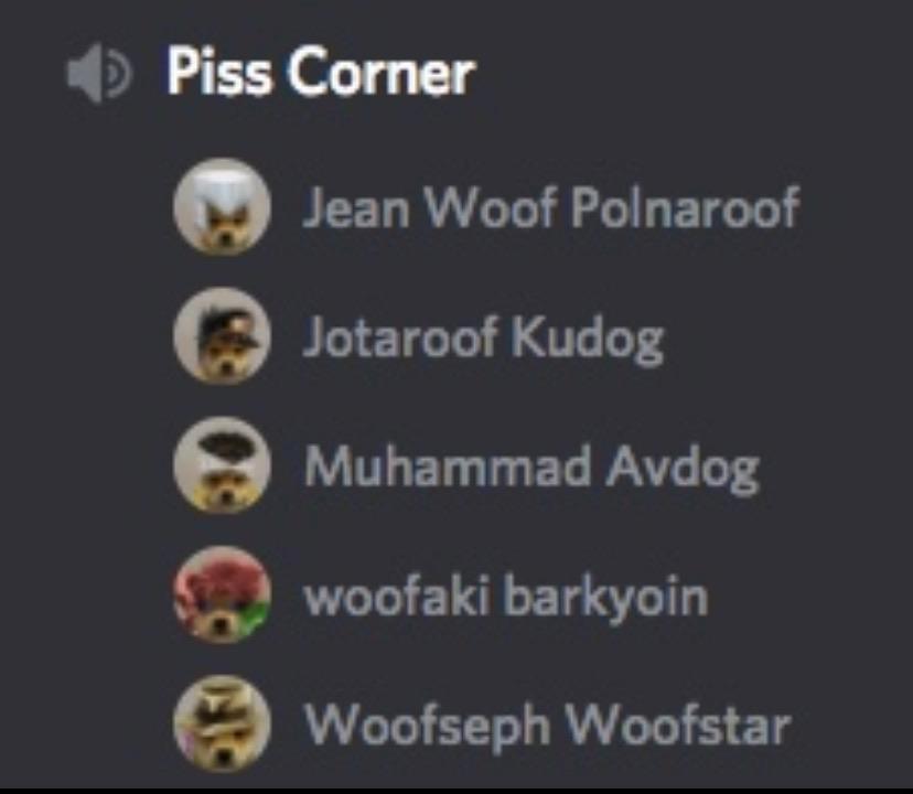 stardog crusaders | Scrolller