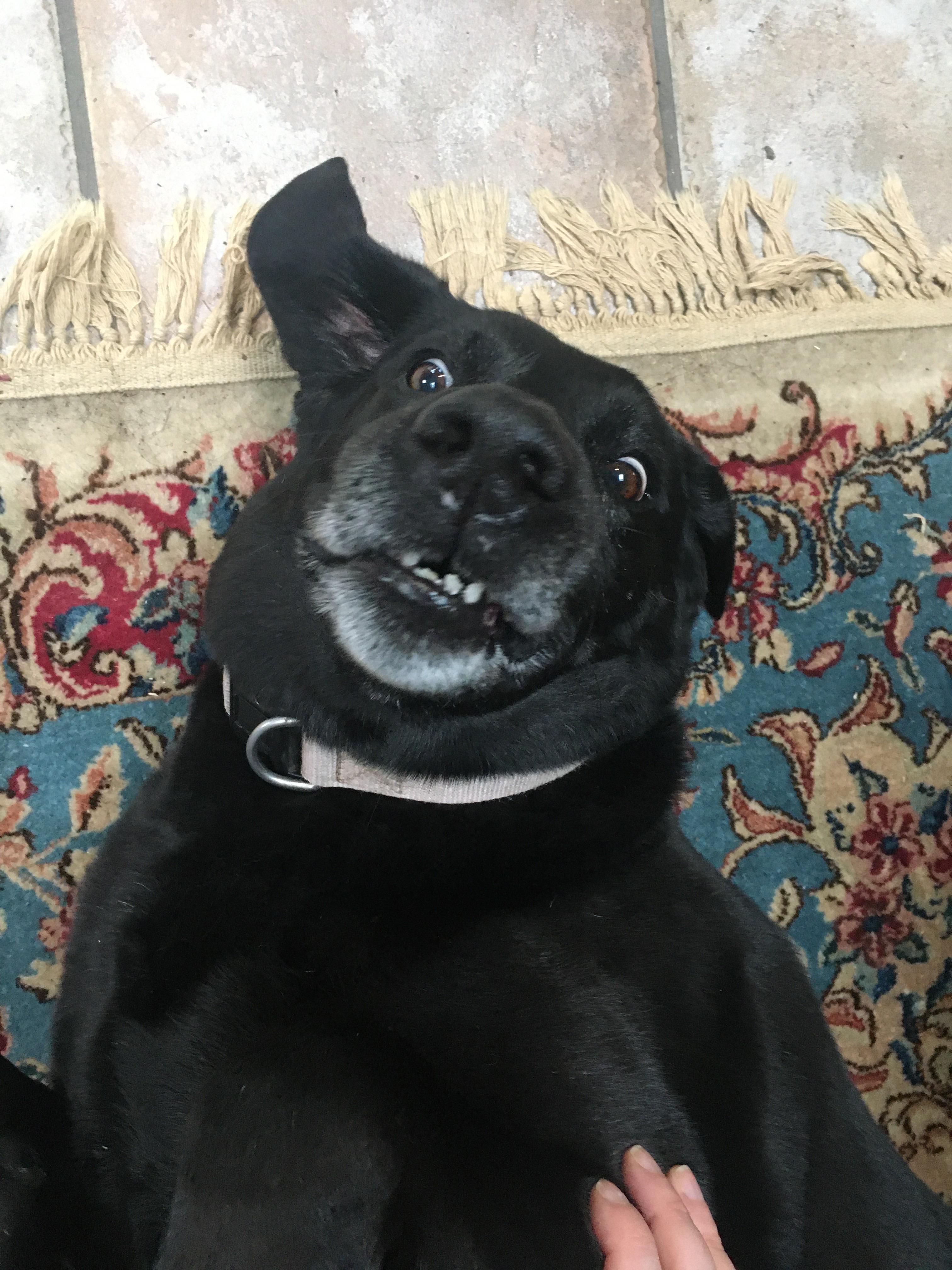 Startled awake from her slumbers | Scrolller