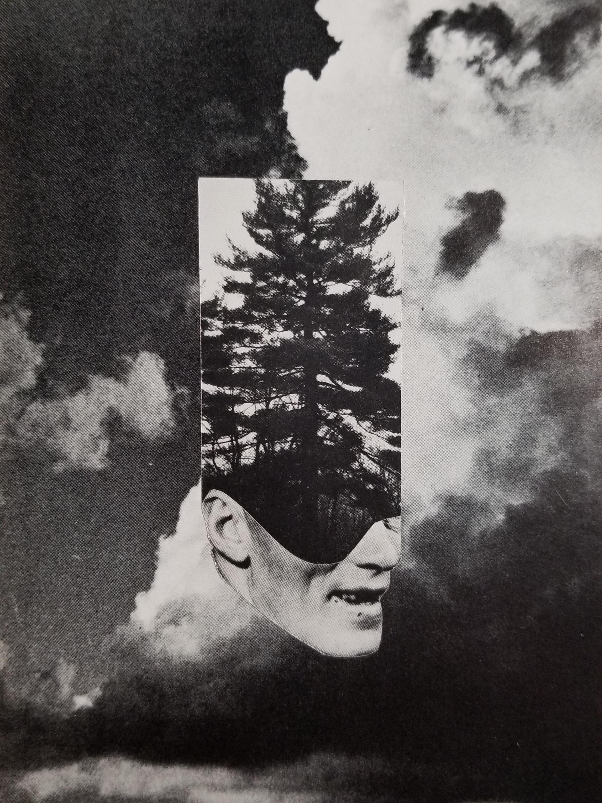 Stay Grounded [analog] | Scrolller