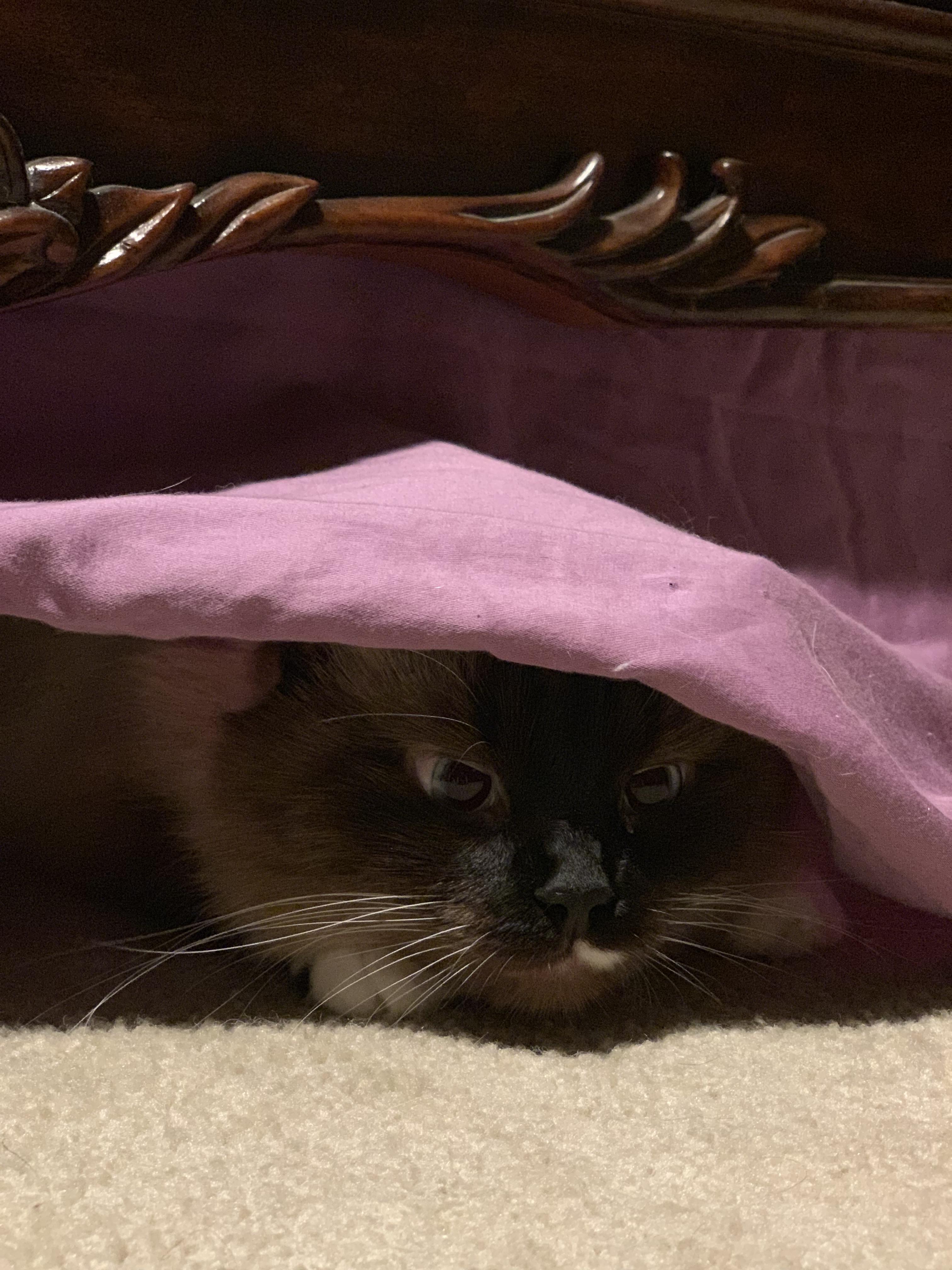 Stealth mode | Scrolller