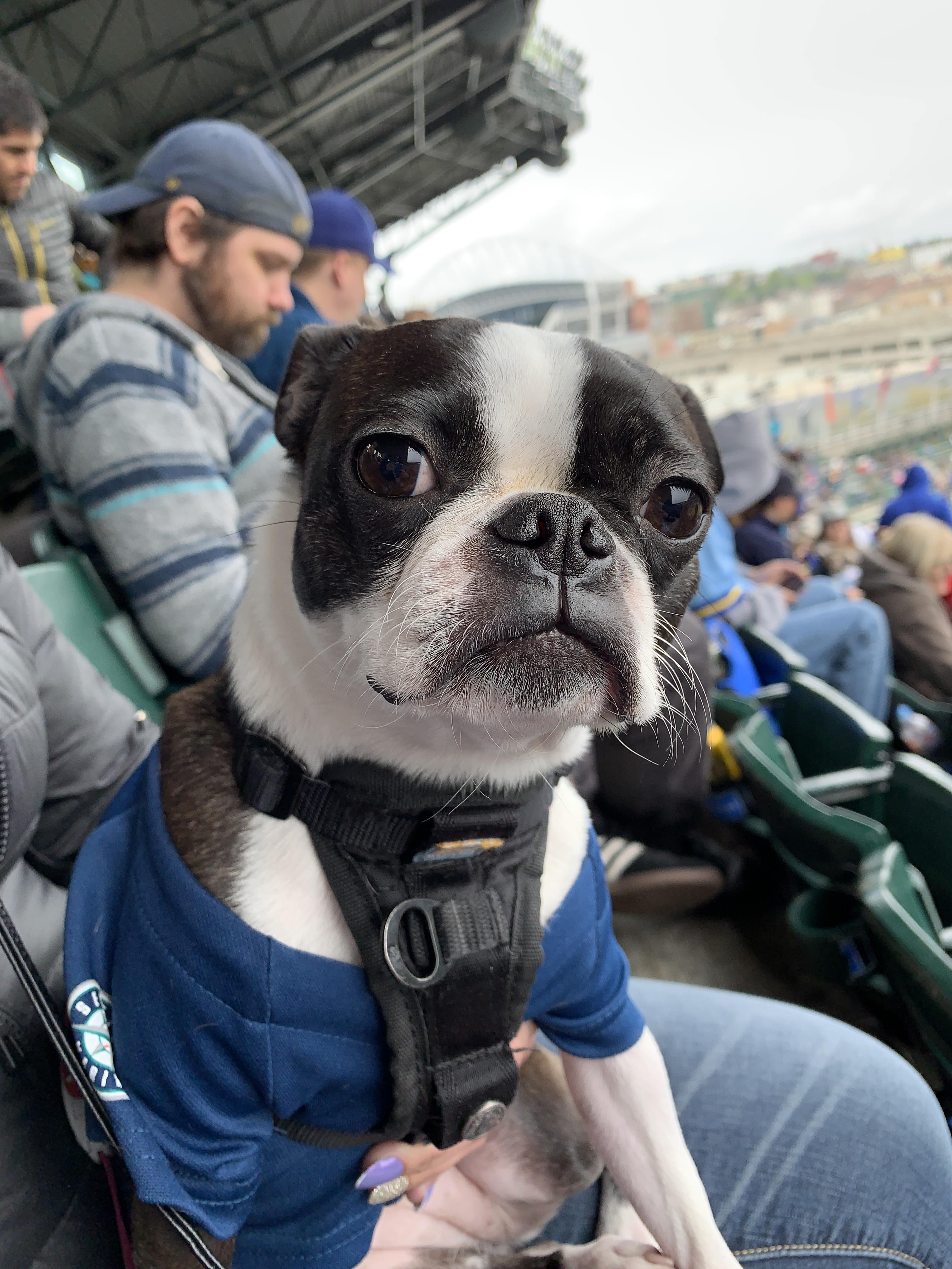 Stella’s first baseball game | Scrolller