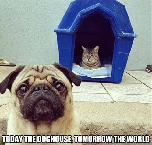 Step one, check | Scrolller