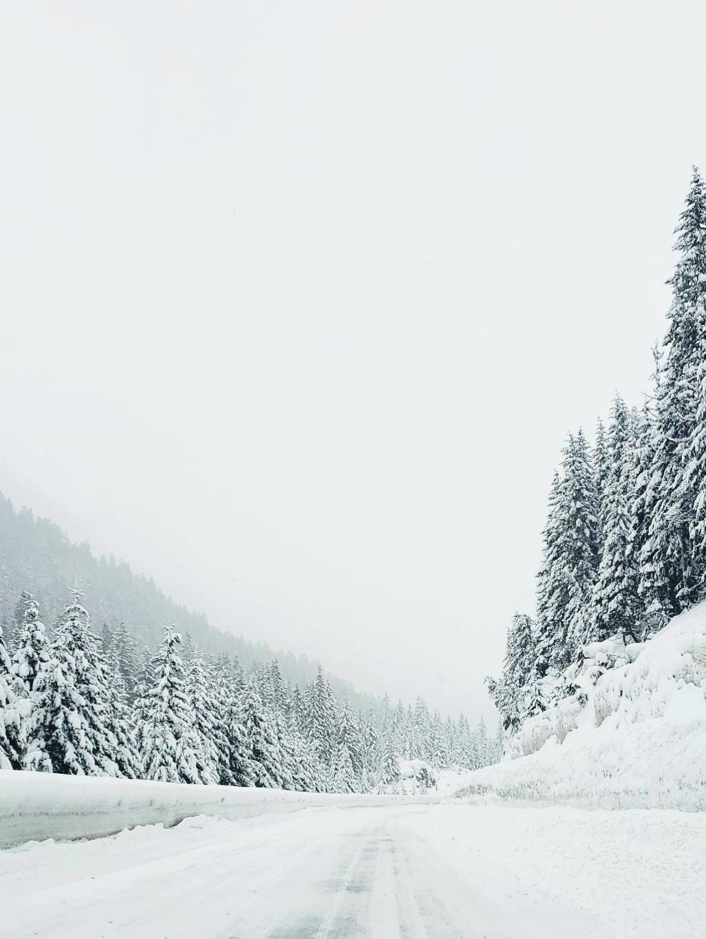 Steven's Pass during today's winter storm. | Scrolller