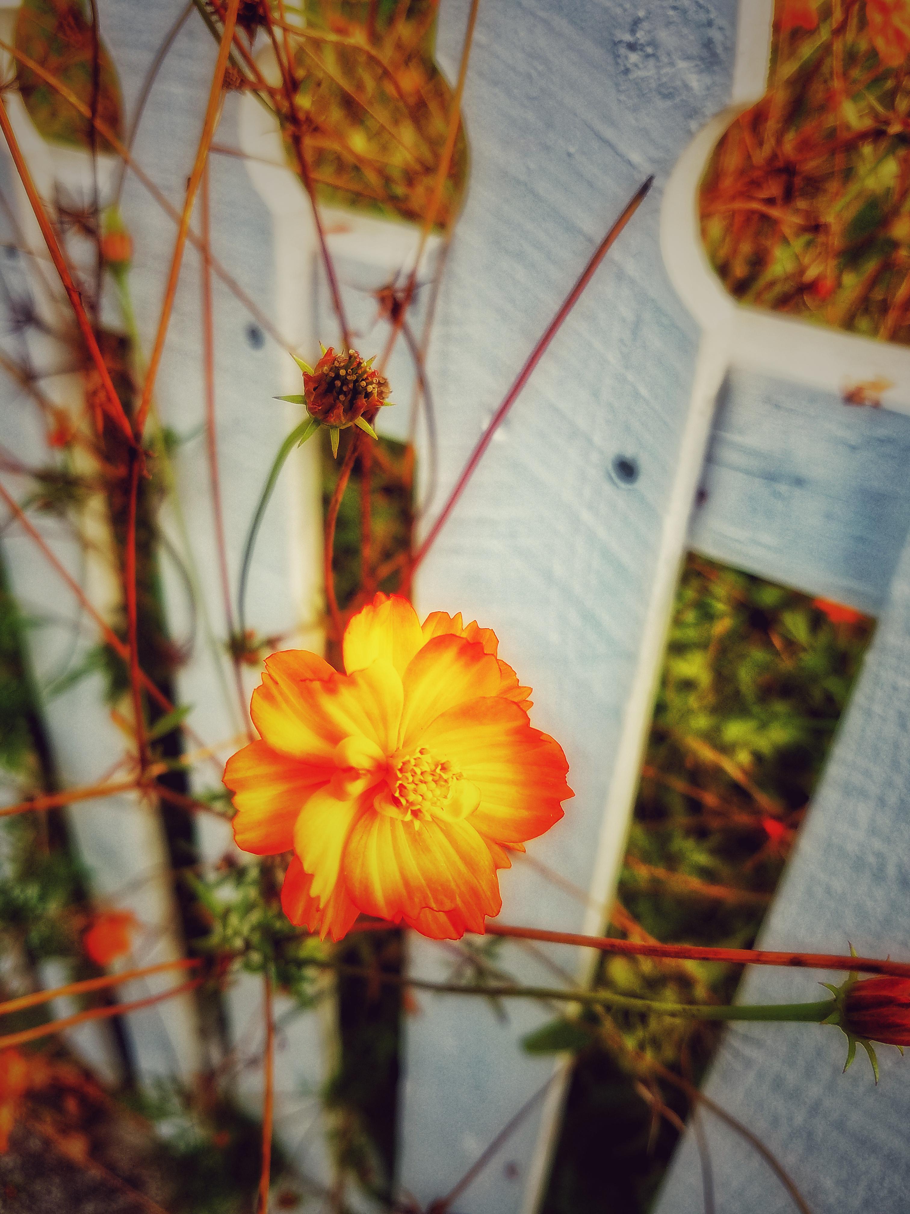 Still learning to fiddle with edits... | Scrolller