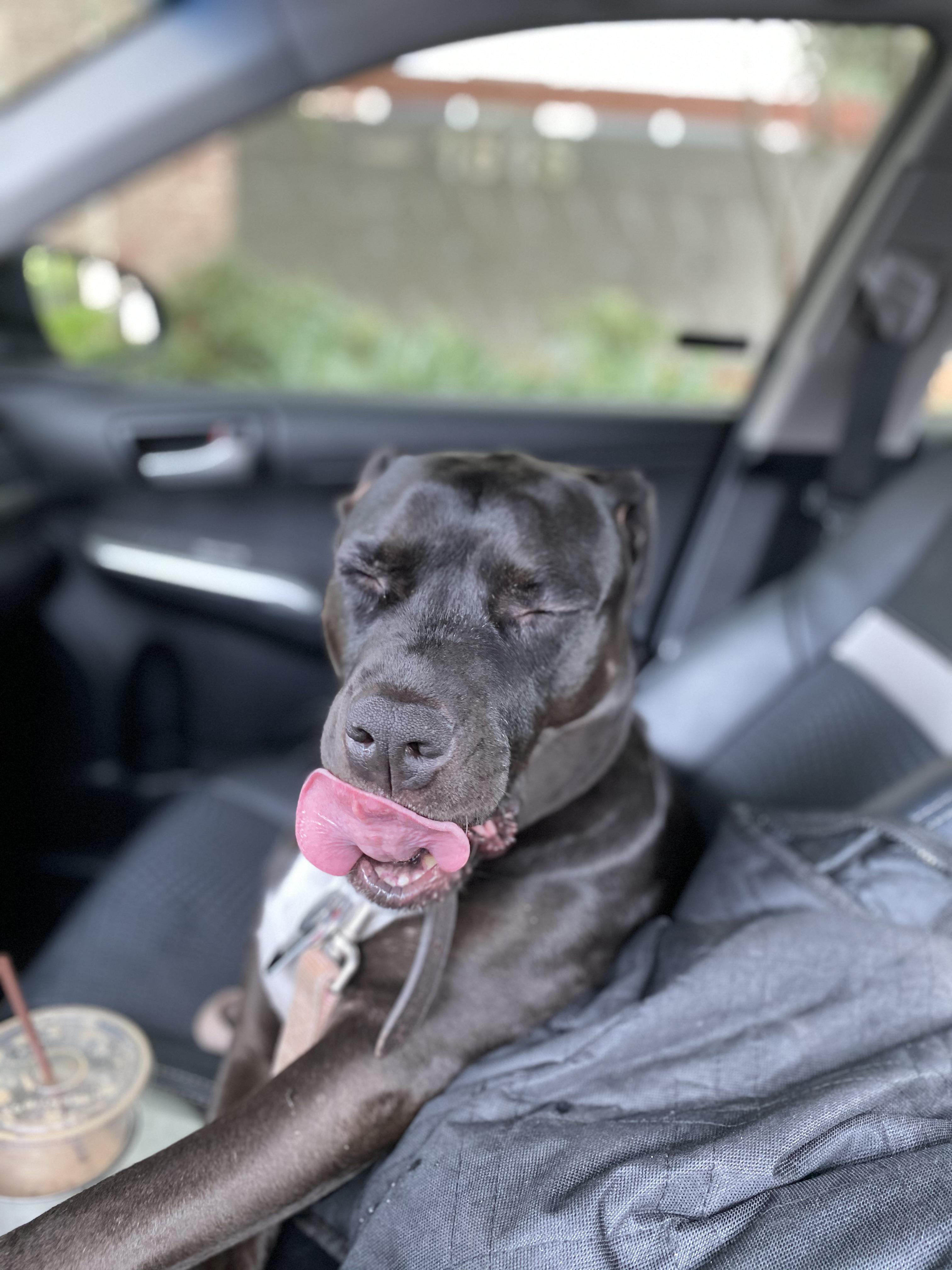 Still waking up | Scrolller