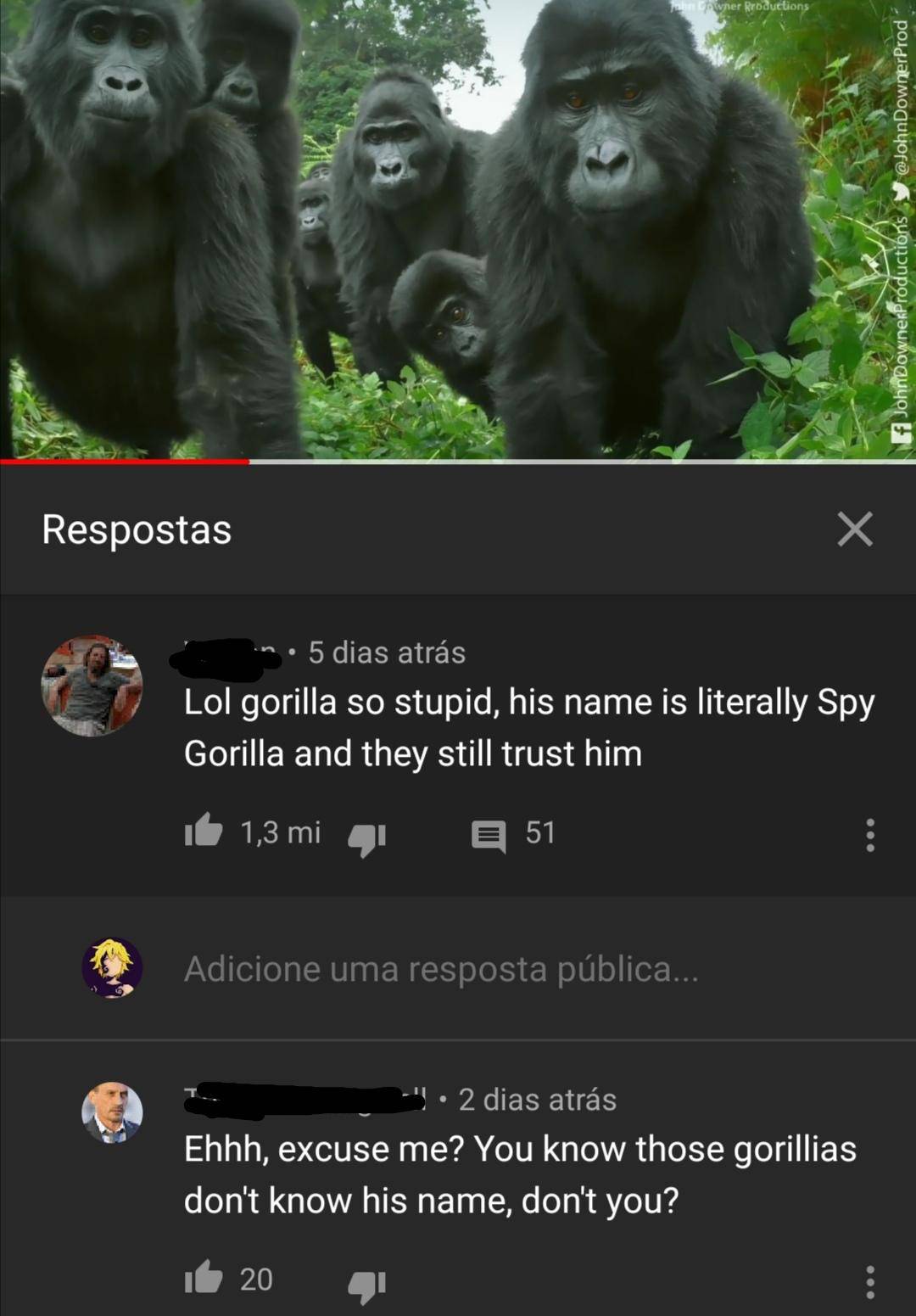 stoopid gorillas | Scrolller
