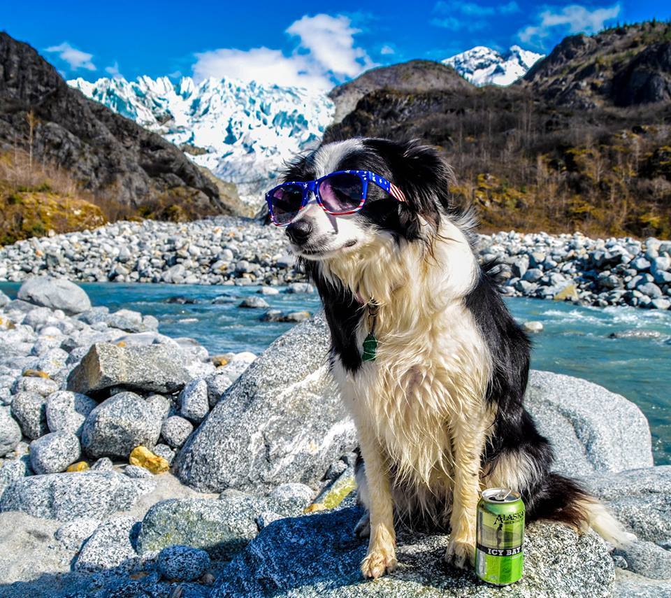 Straight Chillin' (x-post /r/MERICA) | Scrolller