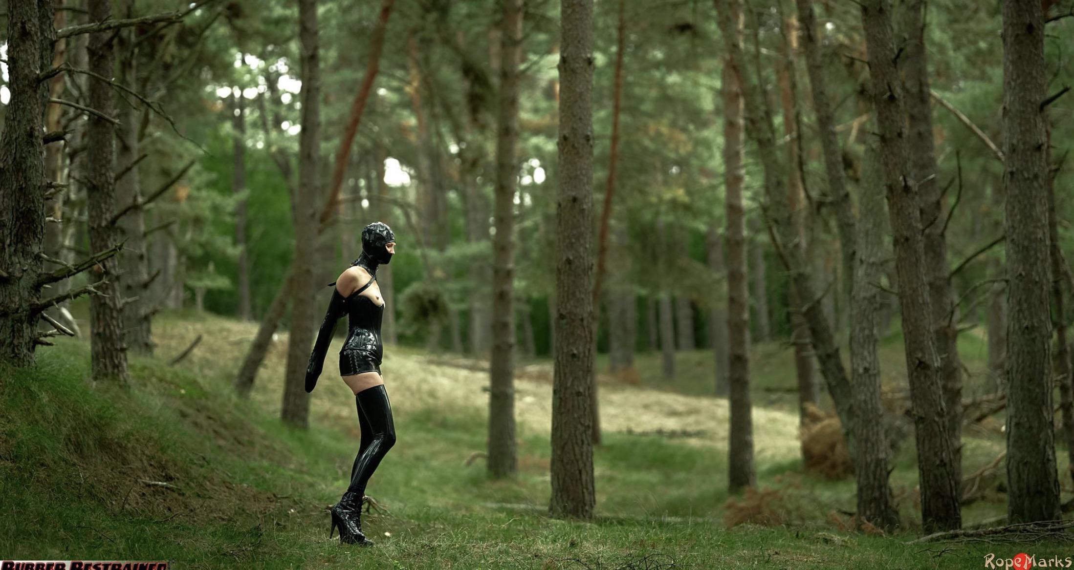 Stranded in the woods | Scrolller