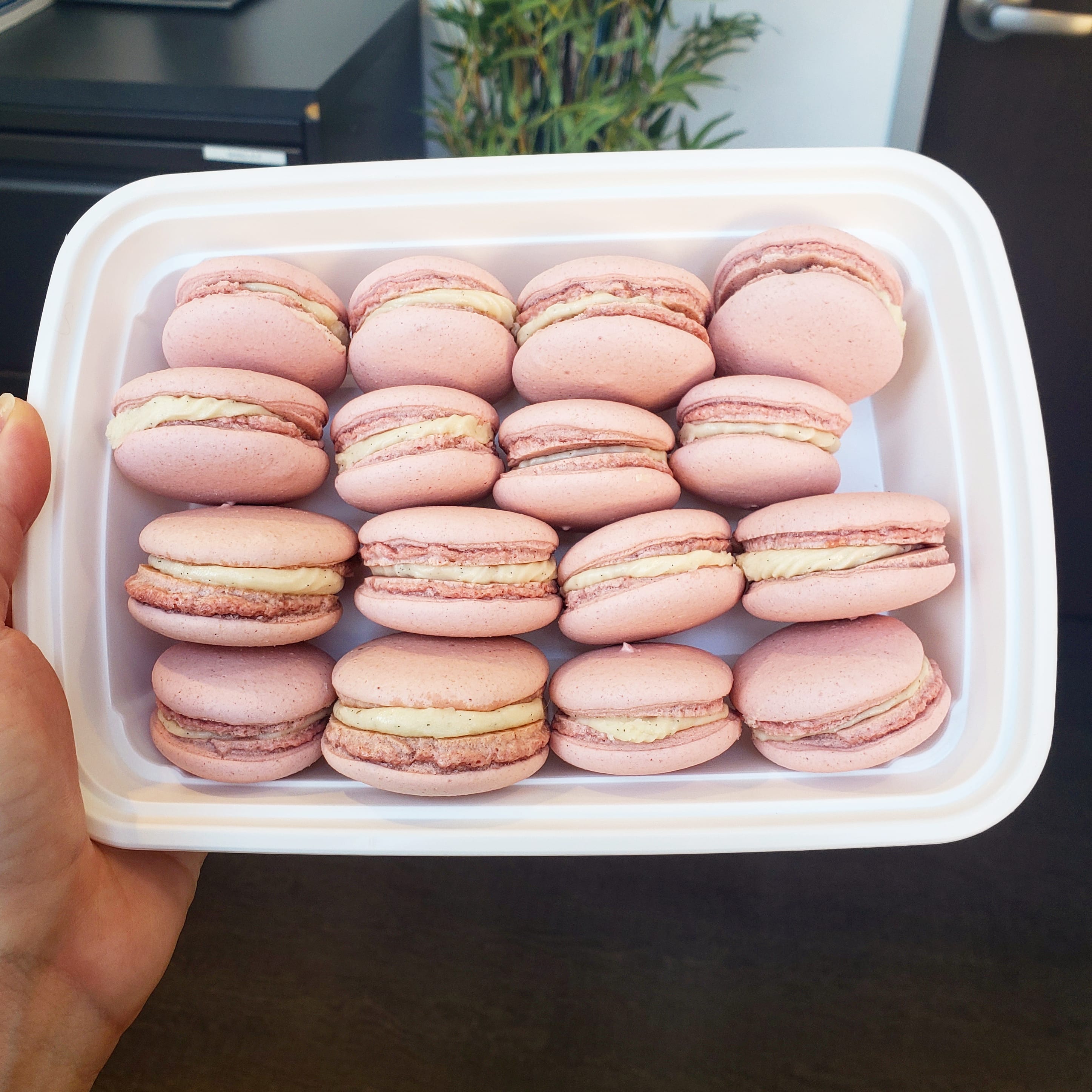 🍓 Strawberry and vanilla bean buttercream macarons 🍓 | Scrolller