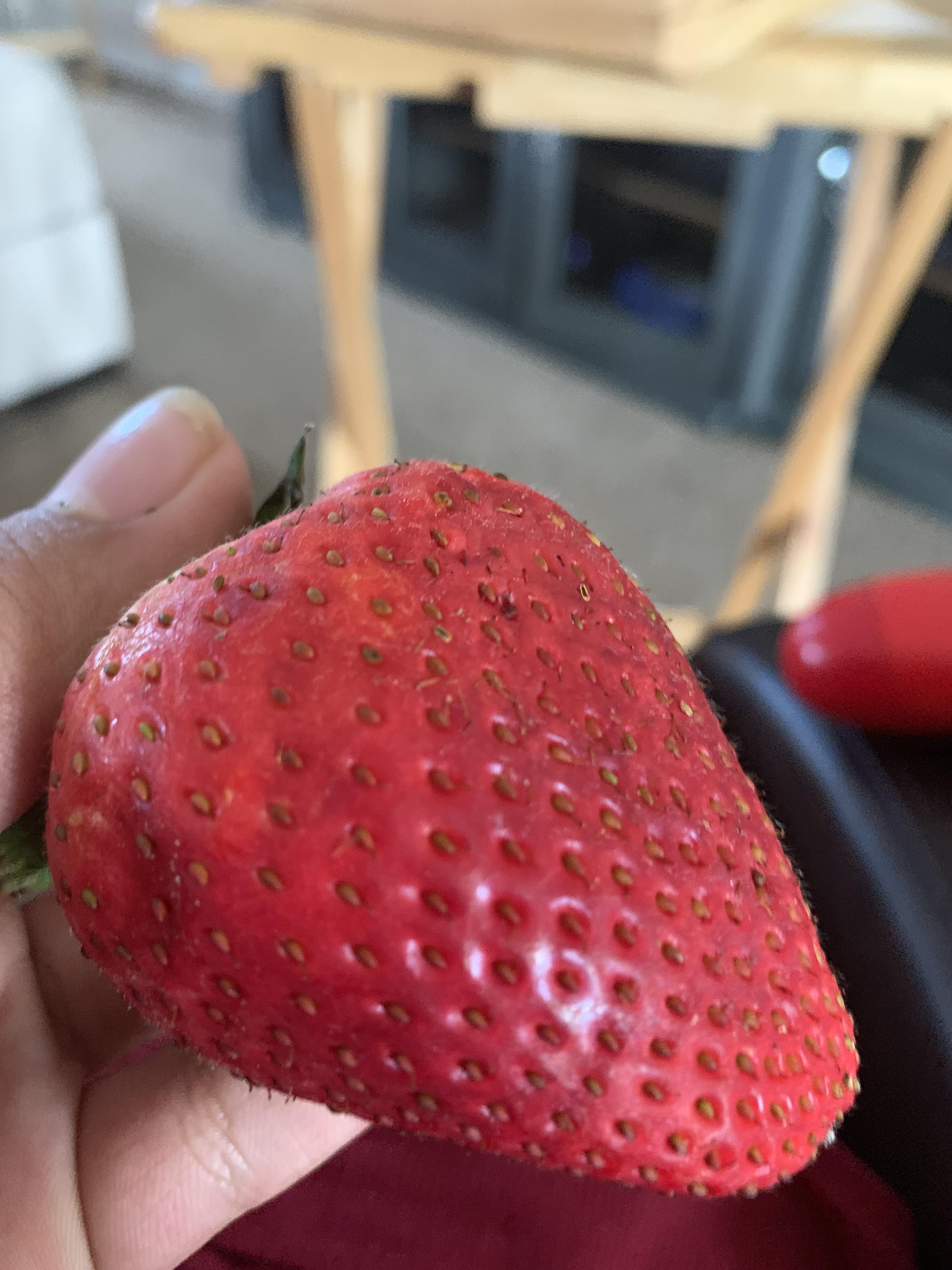 Strawberry Scrolller