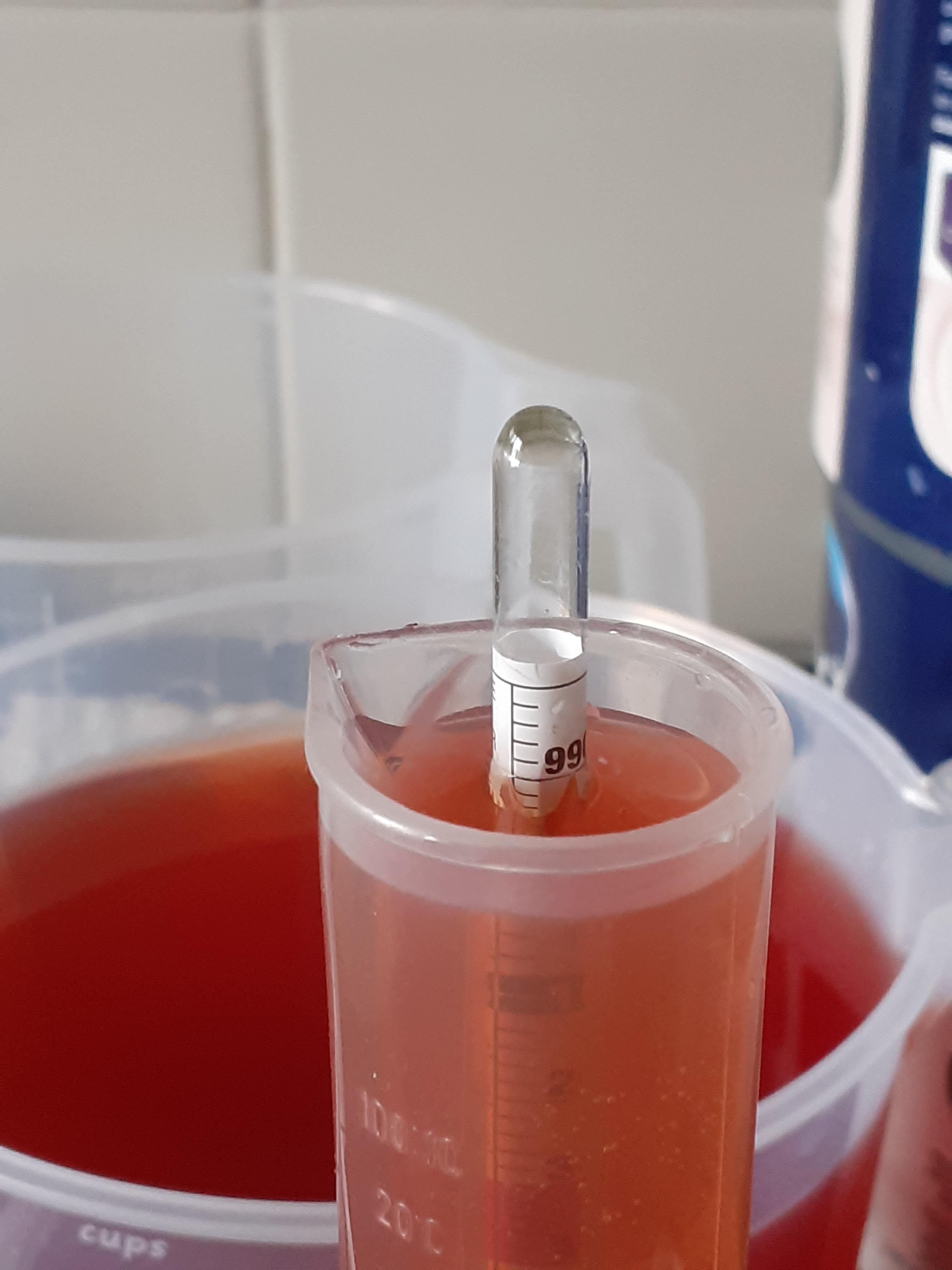 Strawberry Mead finished fermentation | Scrolller