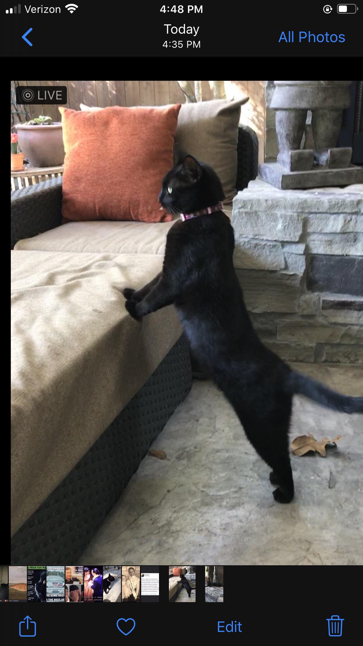 She Protec, She Atac, But most importantly, She stretch her lonk Bac | Scrolller