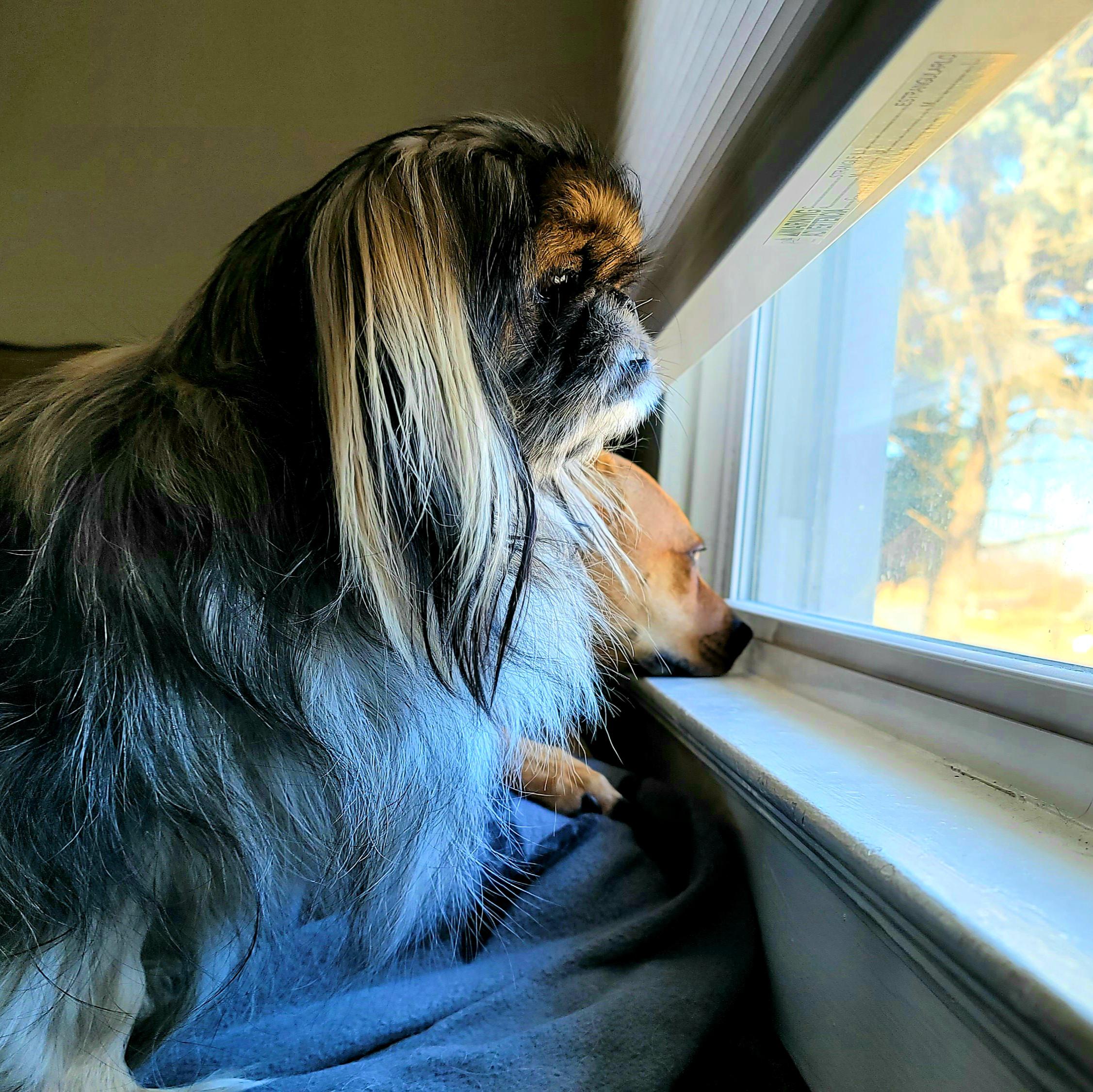 Street watch 2021 still going strong | Scrolller