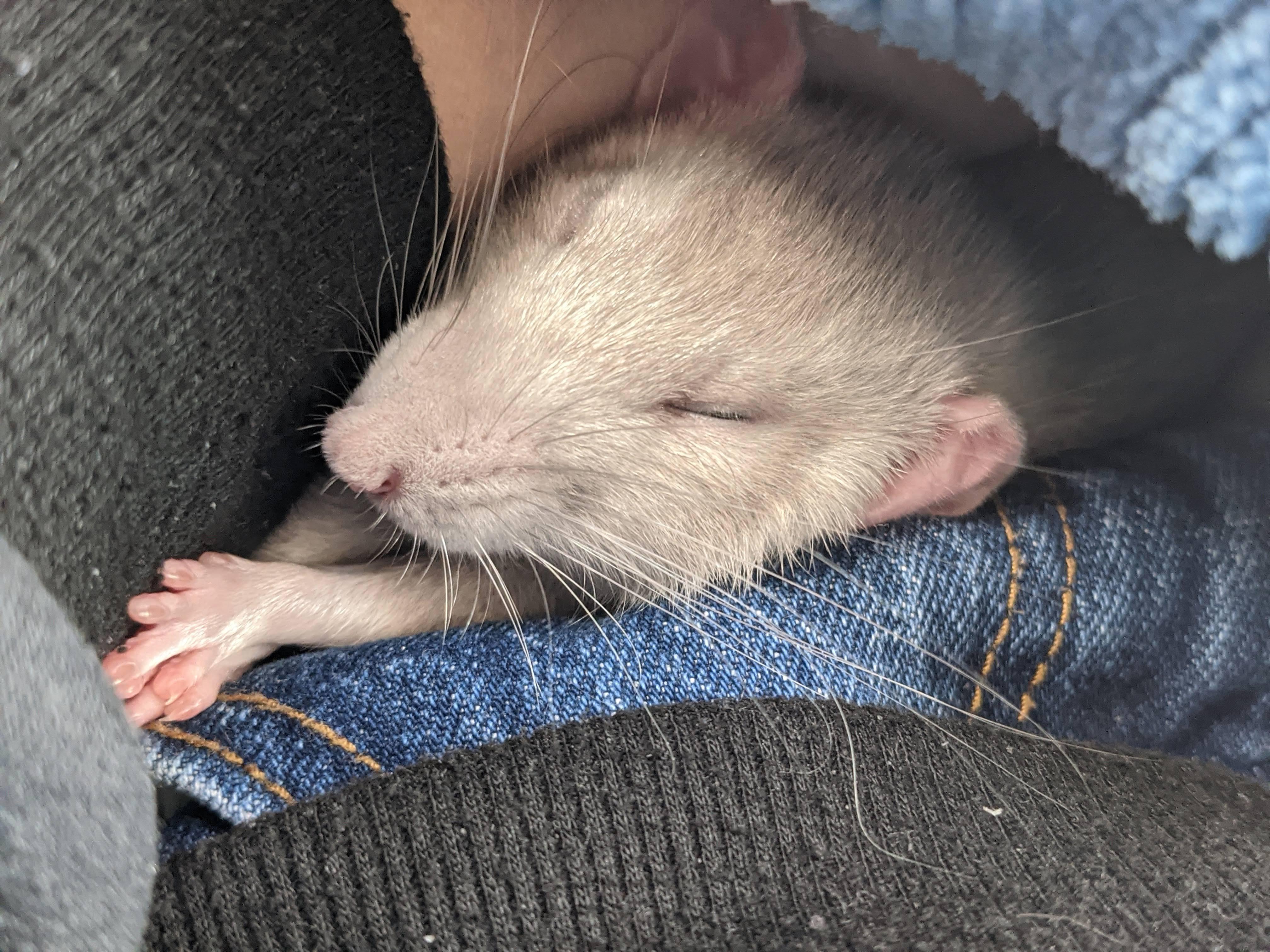 Stretch nap | Scrolller